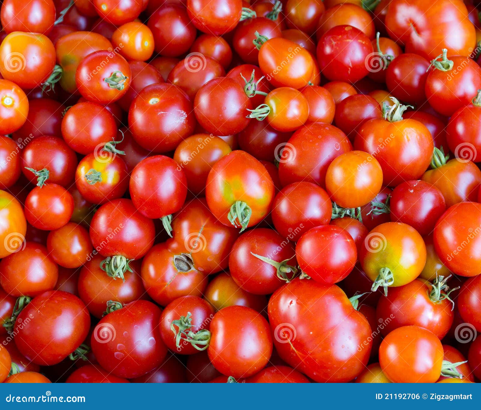 Fresh Tomatoes on Display at the Farmer S Market Stock Photo - Image of ...