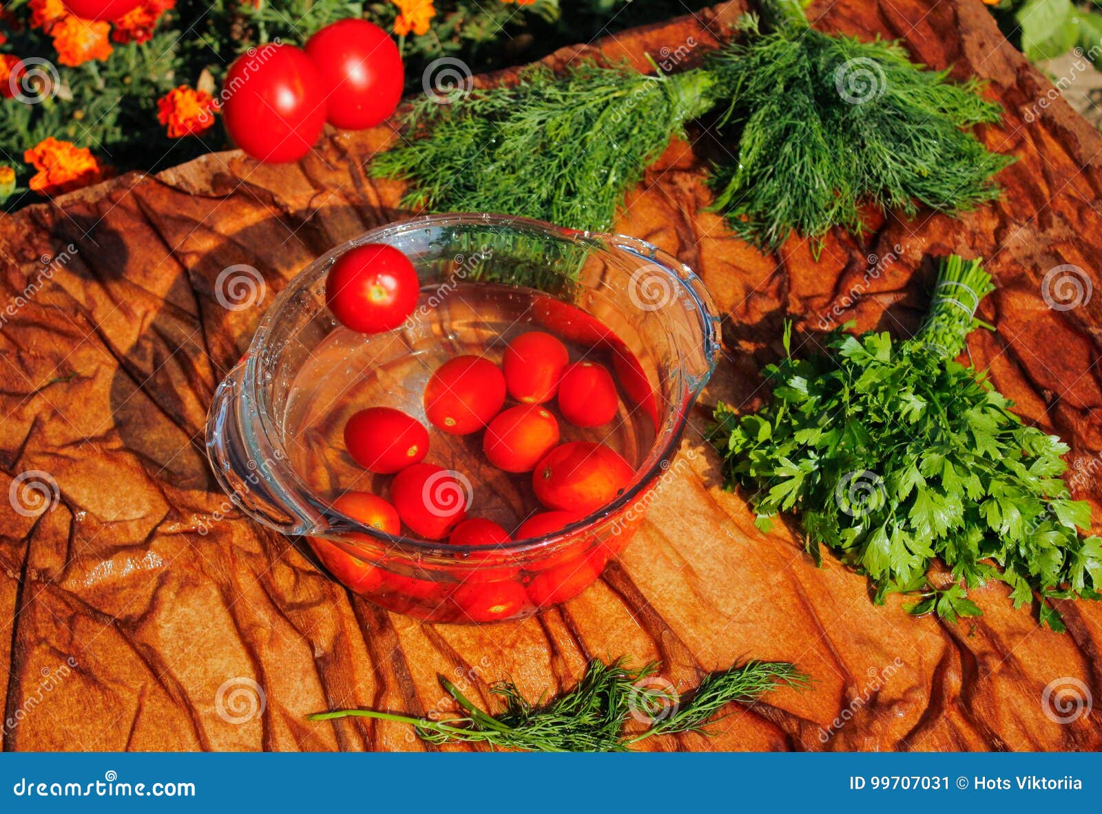 Fresh Tomatoes Falling in Pure Water Stock Image - Image of isolated ...