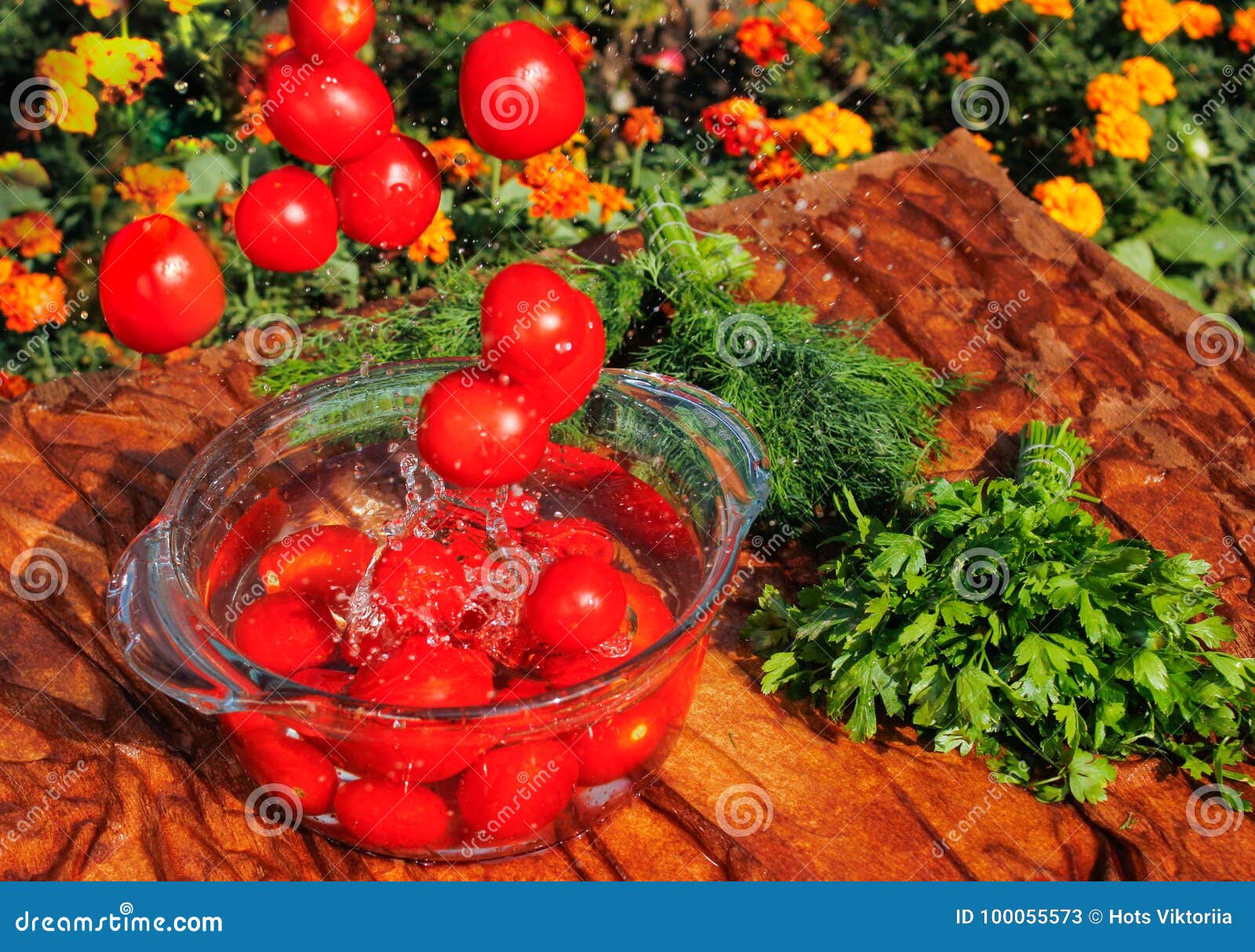 Fresh Tomatoes Falling in Pure Water Stock Image - Image of shock, foam ...