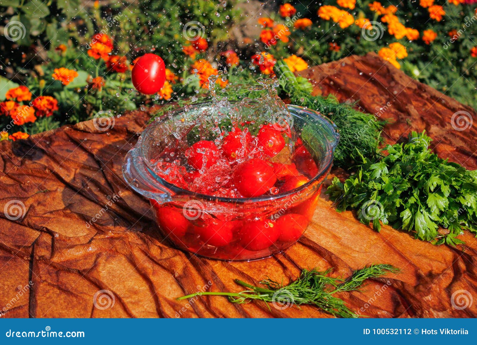 Fresh Tomatoes Falling in Pure Water Stock Photo - Image of cherry ...