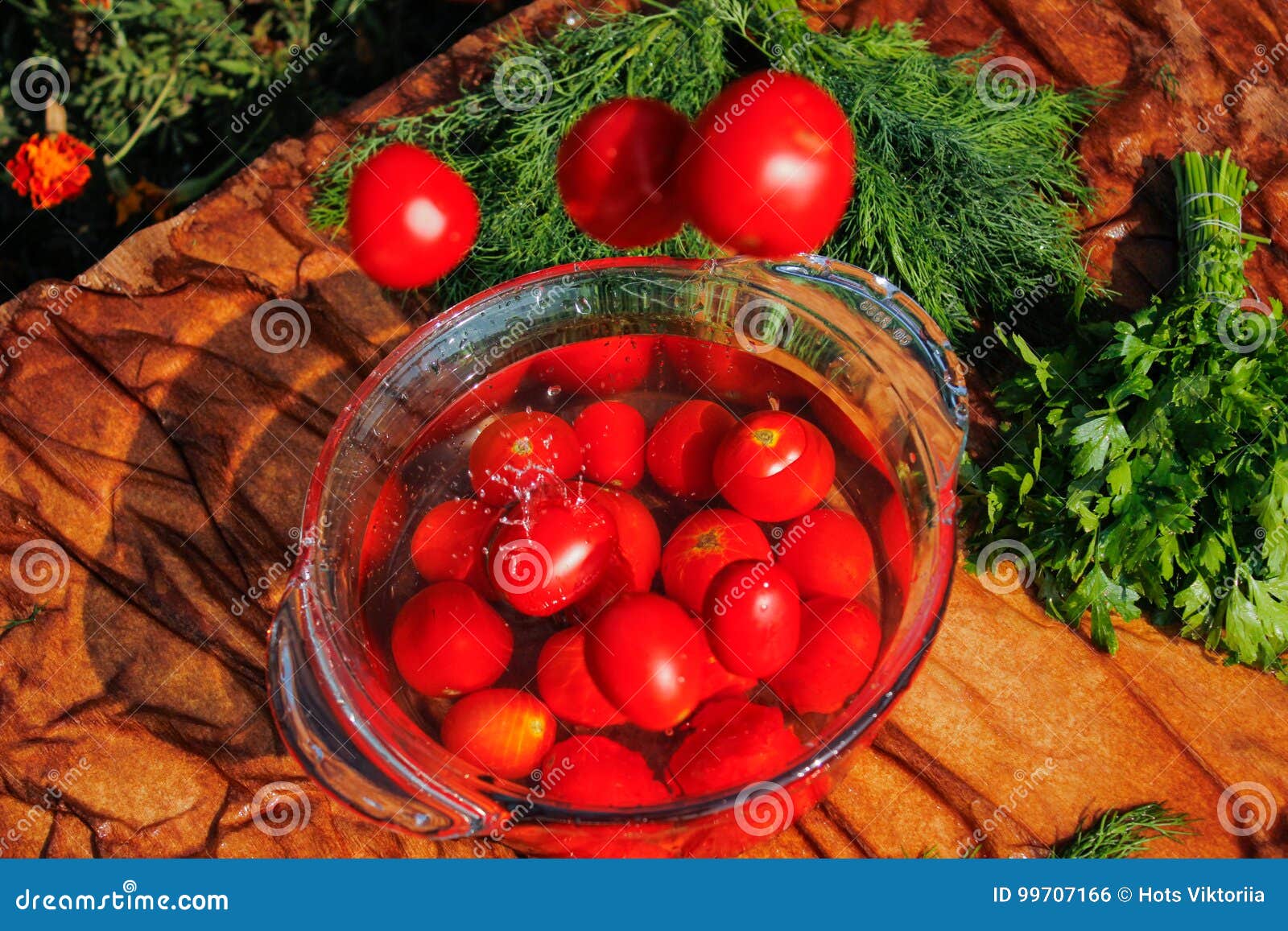 Fresh Tomatoes Falling in Pure Water Stock Photo - Image of interior ...