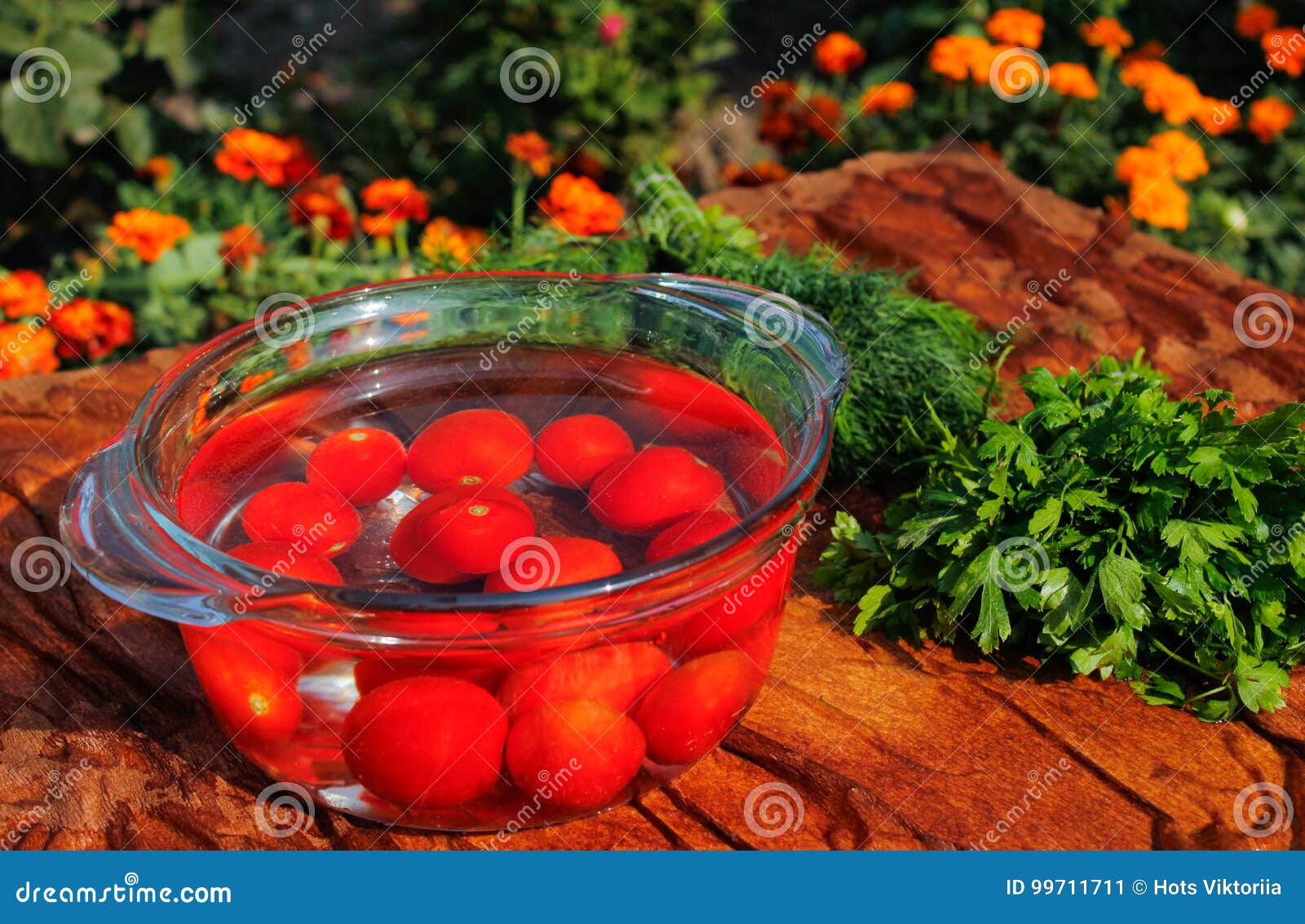 Fresh Tomatoes Falling in Pure Water Stock Image - Image of concept ...