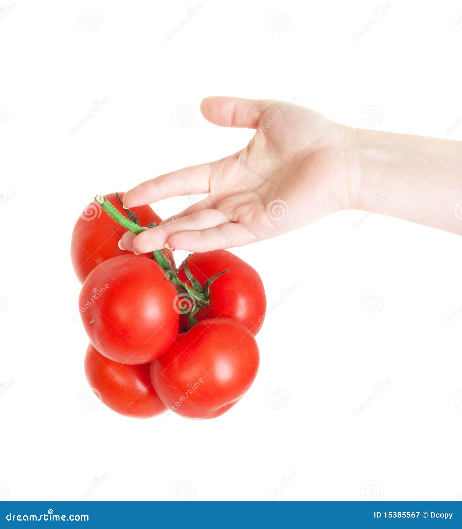 Fresh tomatoes in hand stock image. Image of food, meal - 15385567