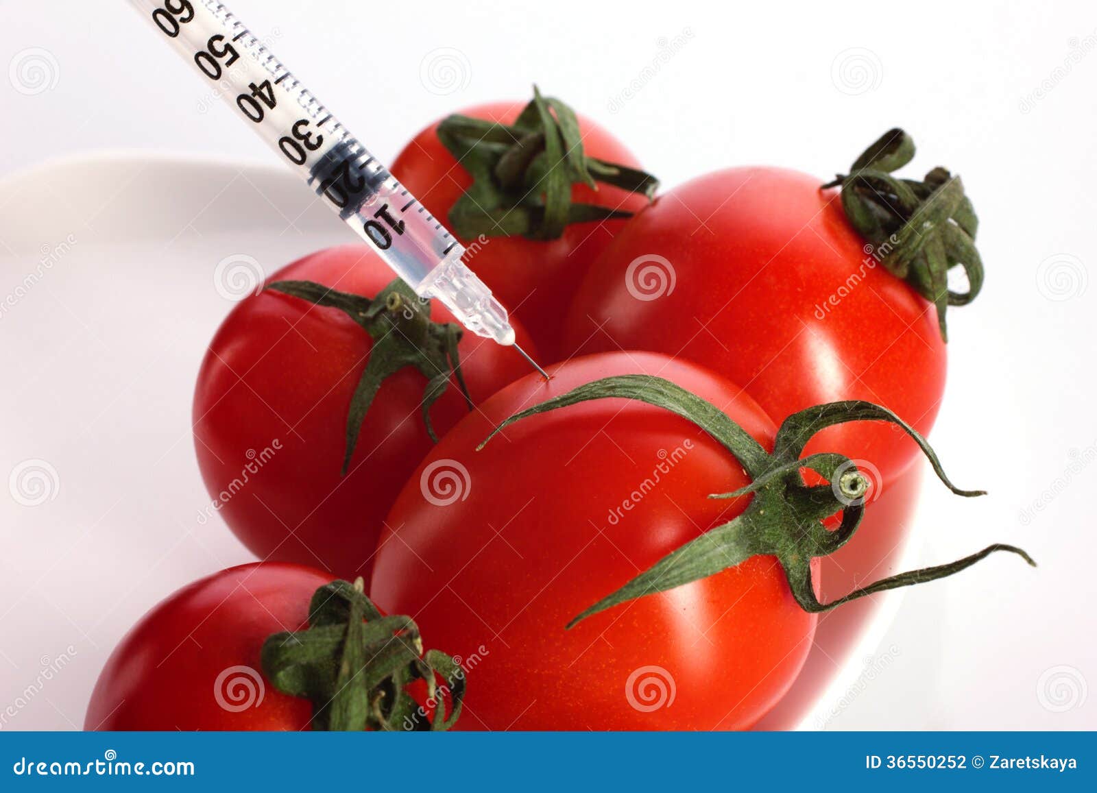 Fresh tomatoes injection stock photo. Image of medical - 36550252