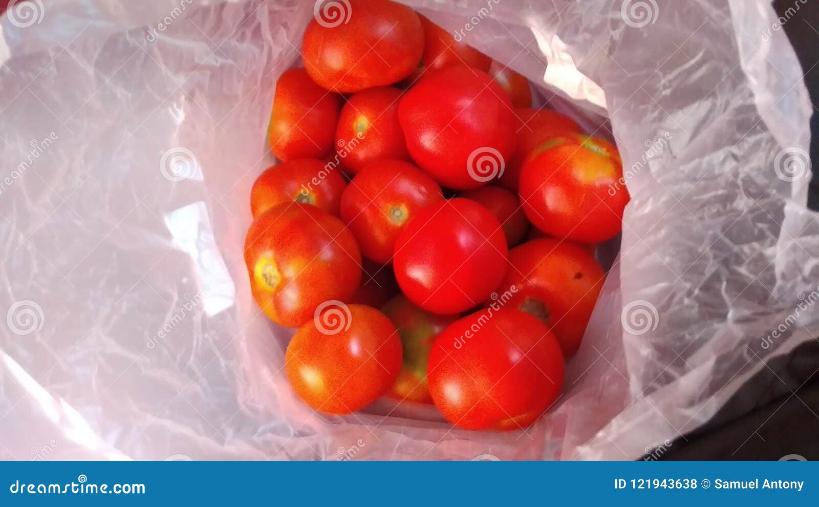 Package Tomato stock photo. Image of direct, nature - 121943638