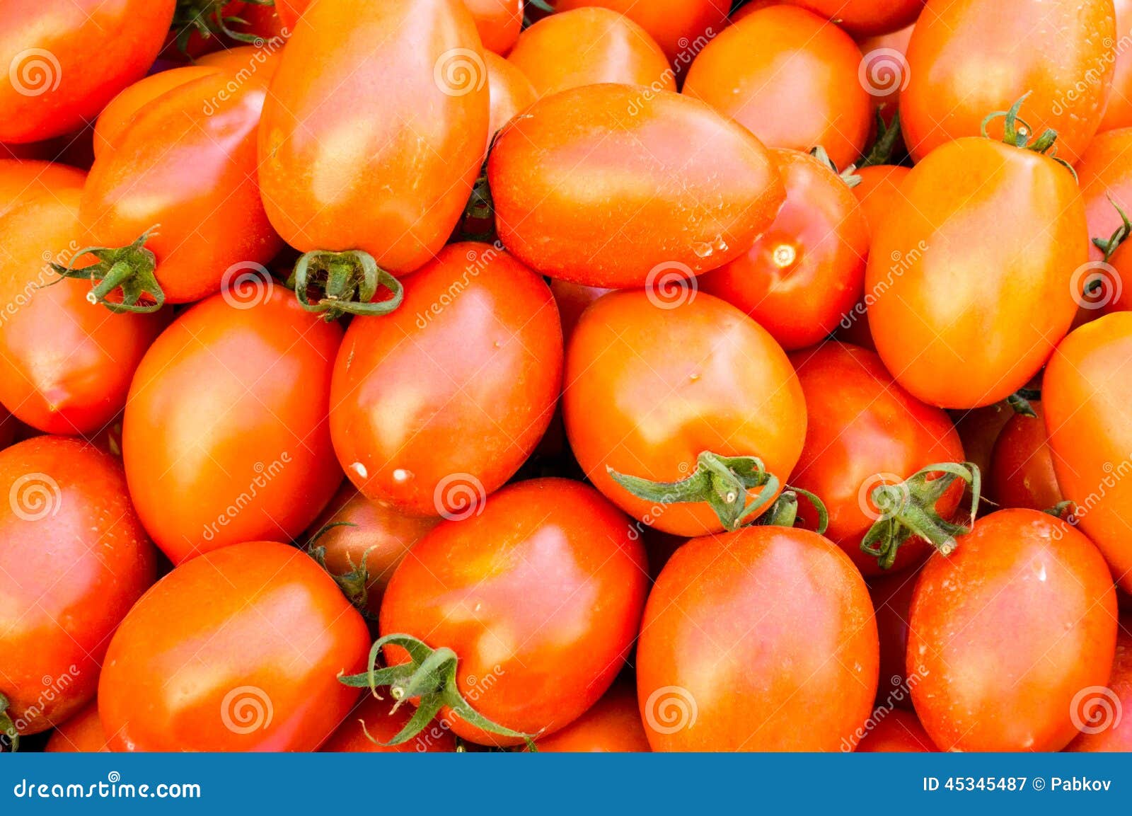 Fresh tomatoes stock image. Image of food, freshness - 45345487