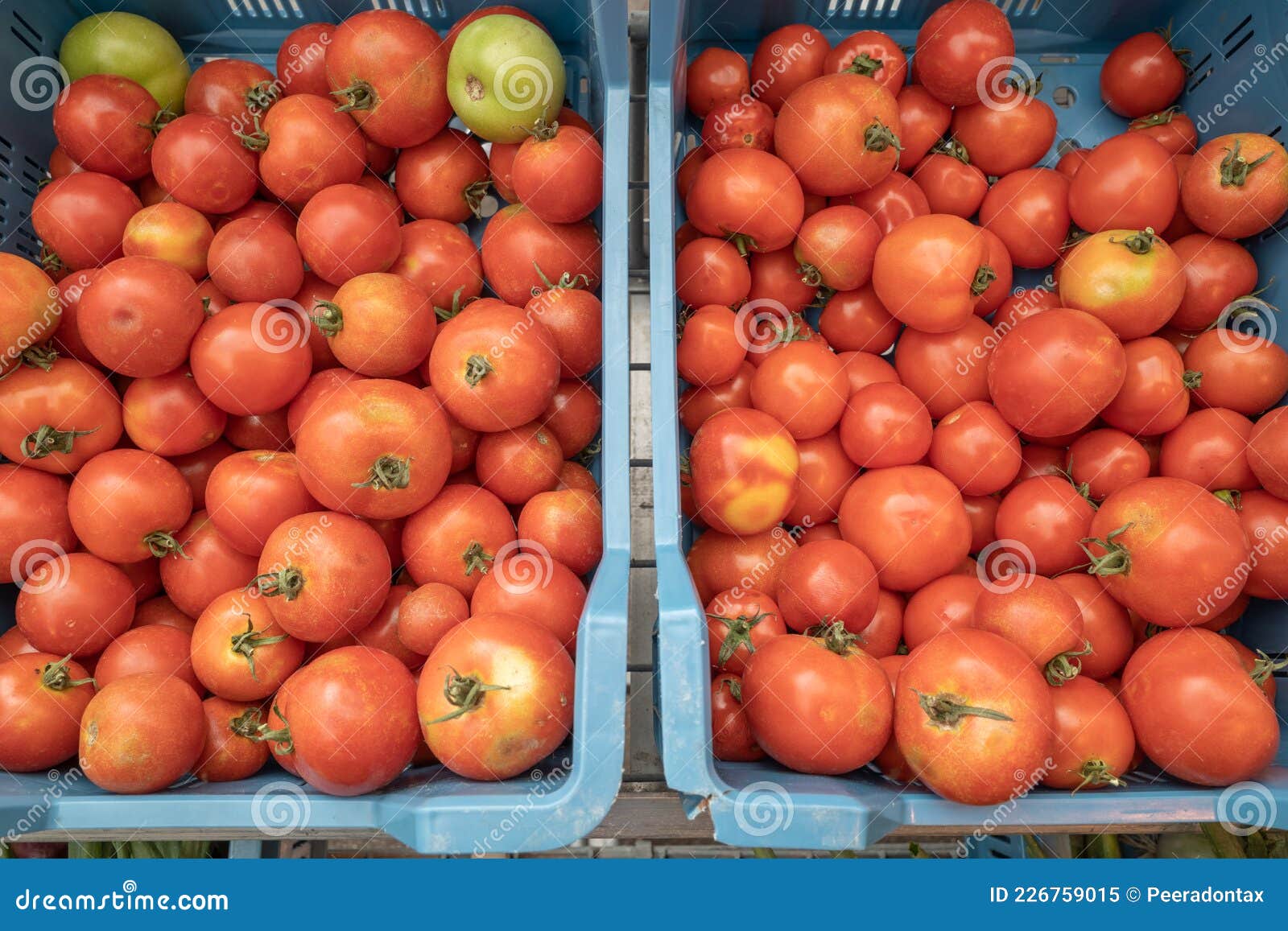 Tomatoes In A Plastic Container Royalty-Free Stock Image ...