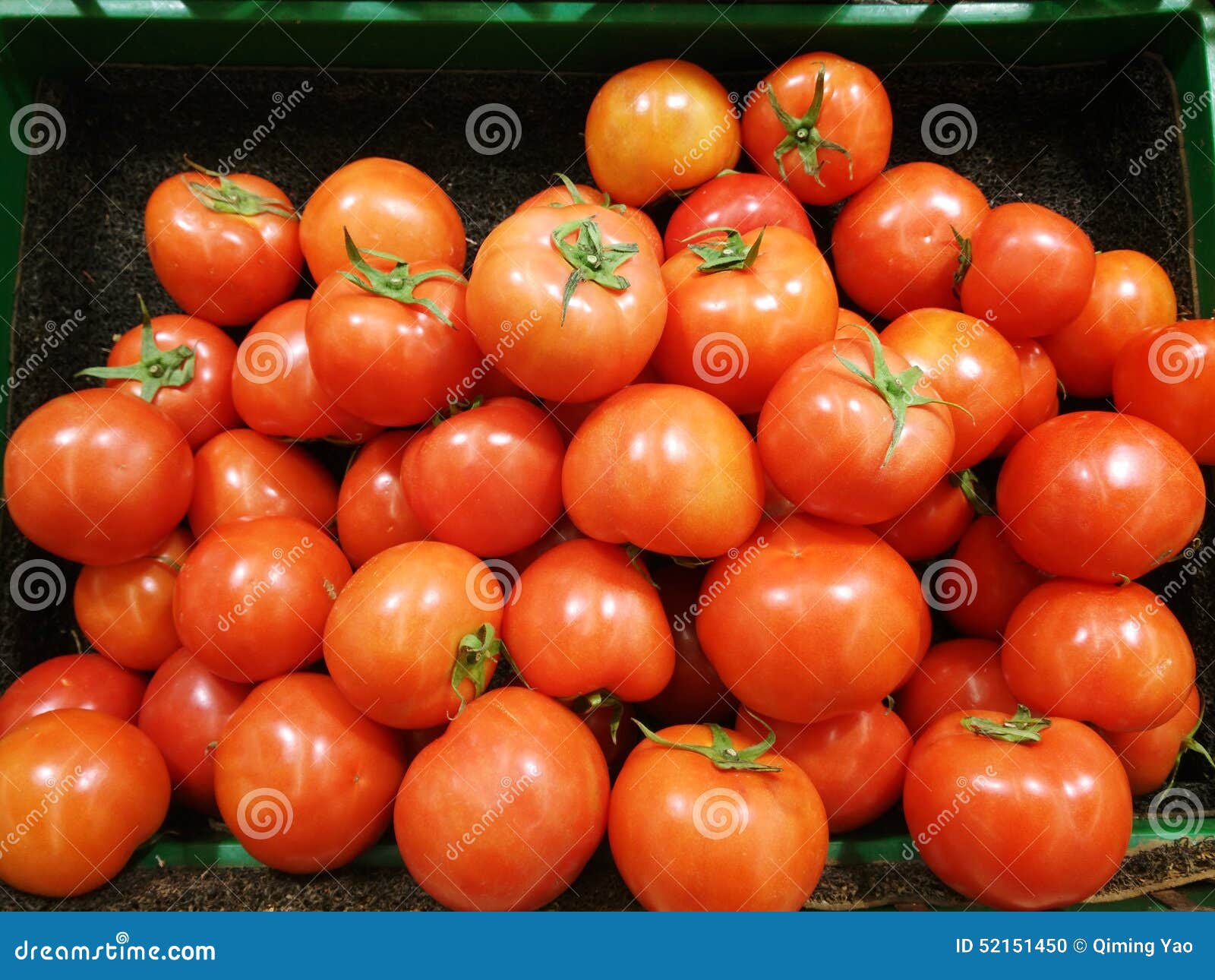 Fresh Tomatoes. In Indonesia, This Fruit Can Be Consumed As Fruit ...