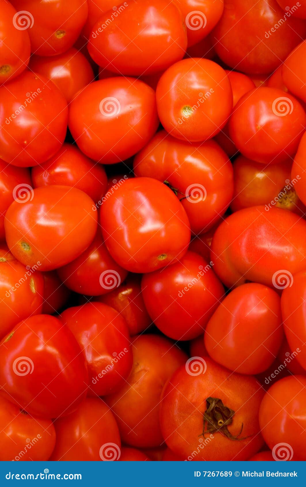 Fresh tomatoes top view stock image. Image of organic - 7267689