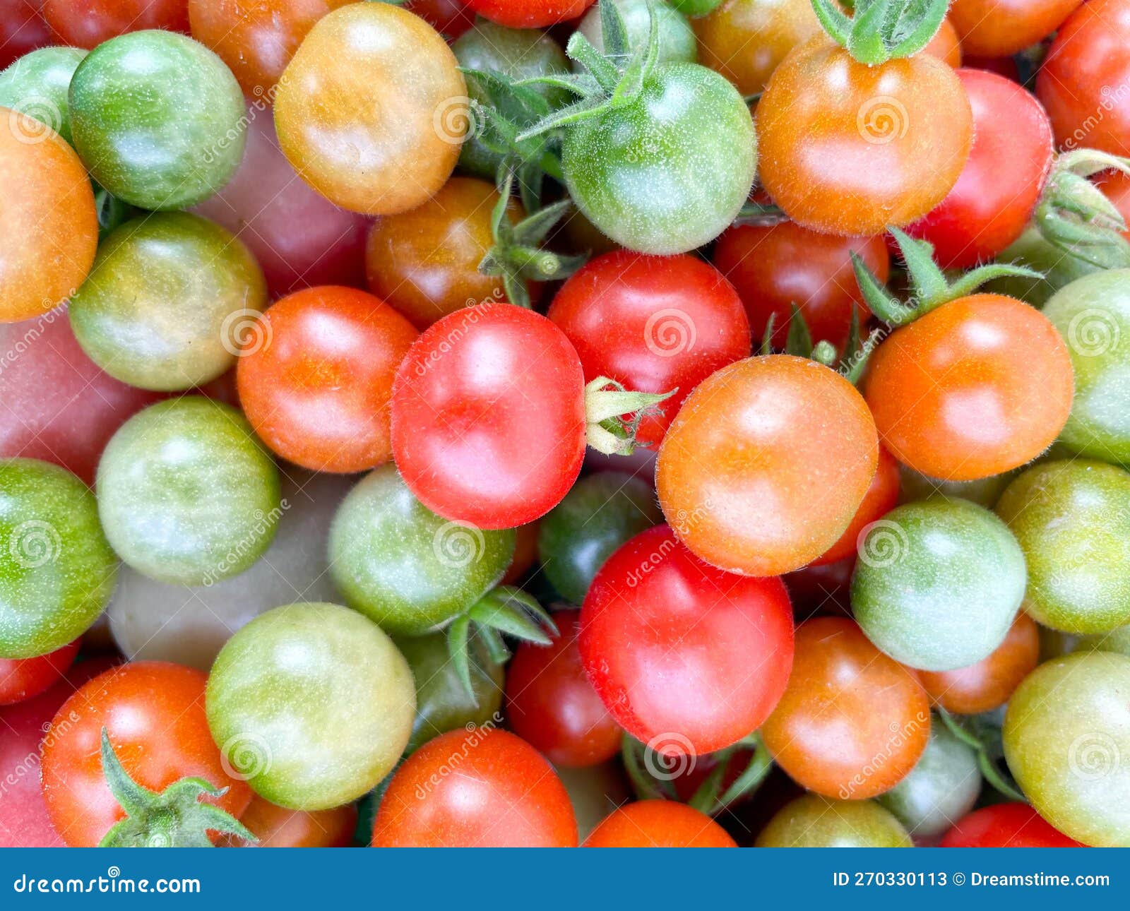Fresh Tomatos in Row Food Concept Stock Image - Image of heirloom ...