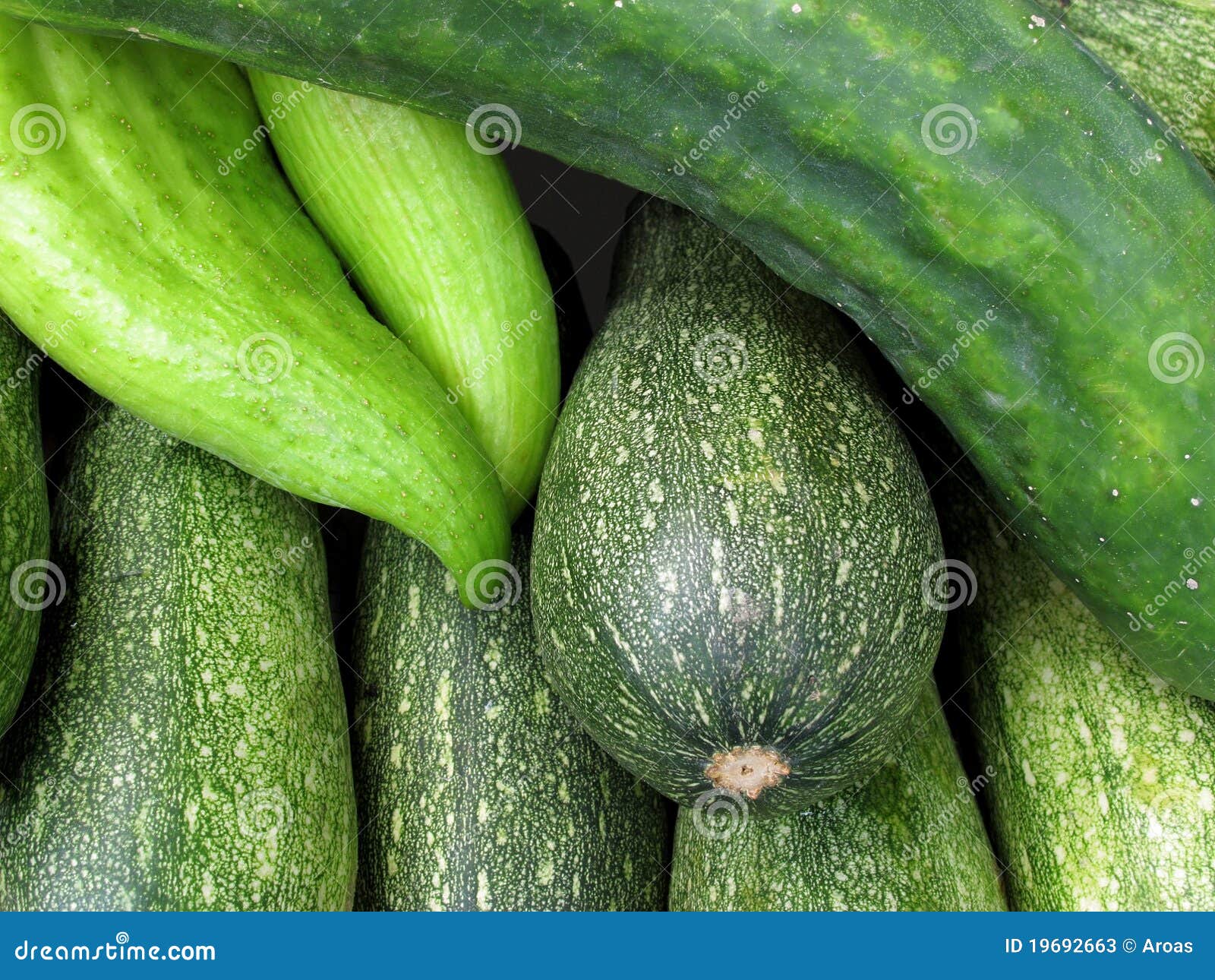 Fresh Trays of Zucchinis and Cucumber Stock Image - Image of coarse ...