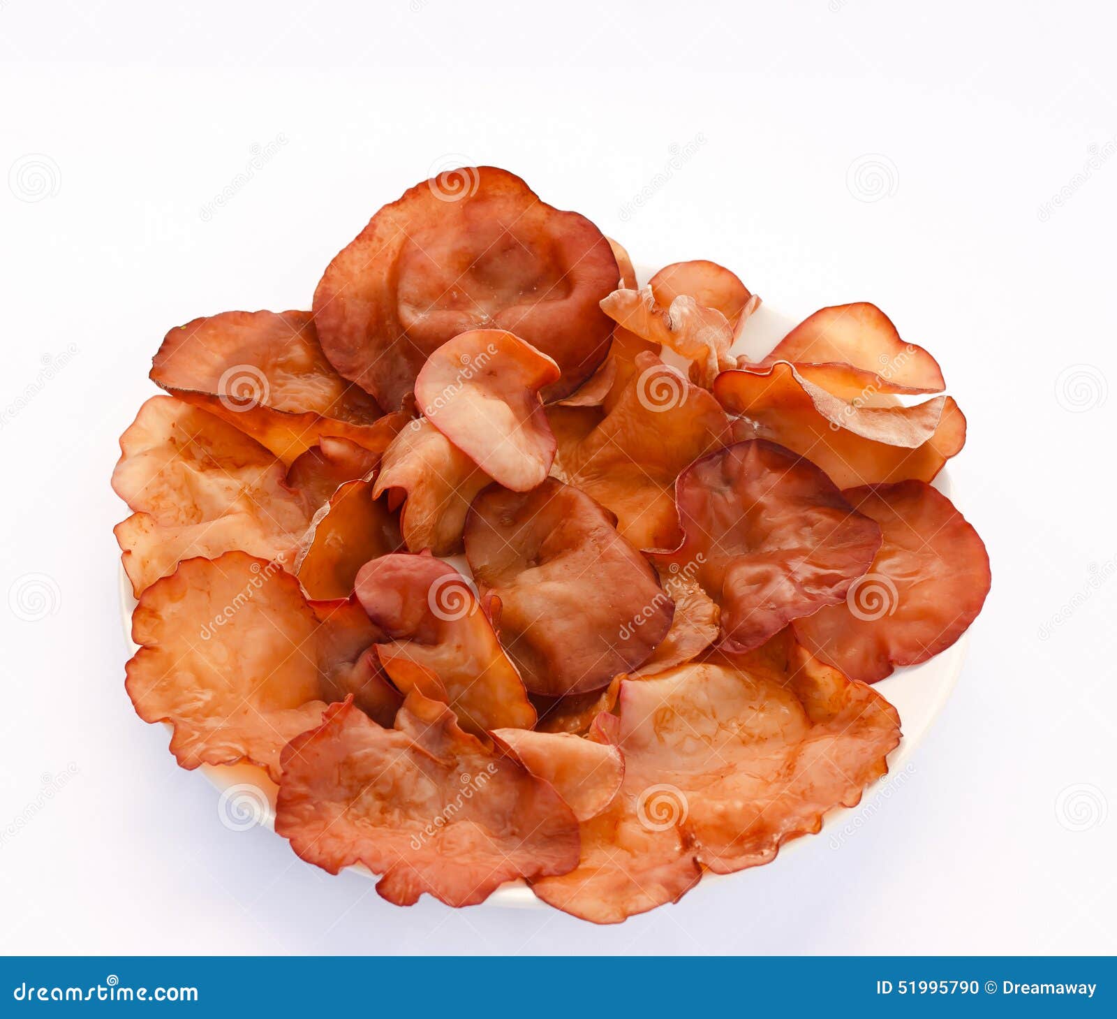 Fresh Tree Ear Mushroom. stock photo. Image of delicious - 51995790