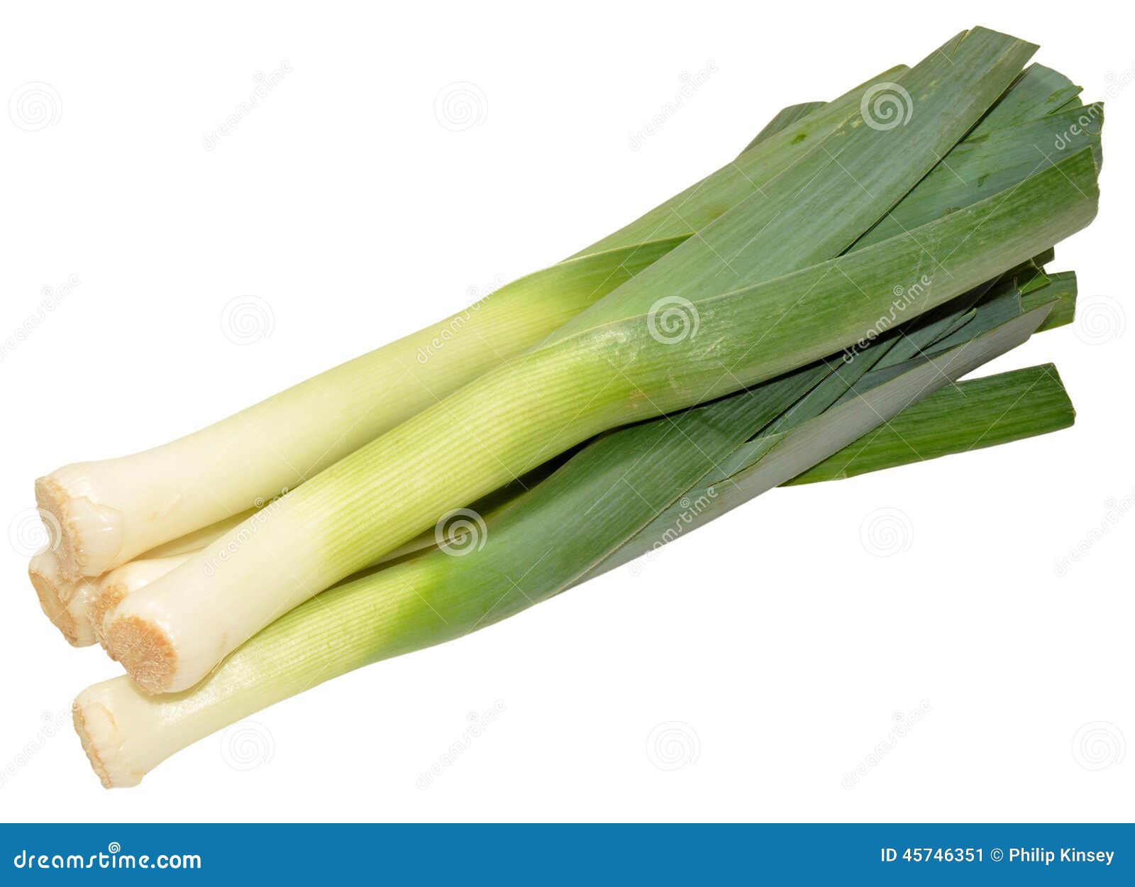 Fresh Trimmed Baby Leeks stock image. Image of trimmed - 45746351