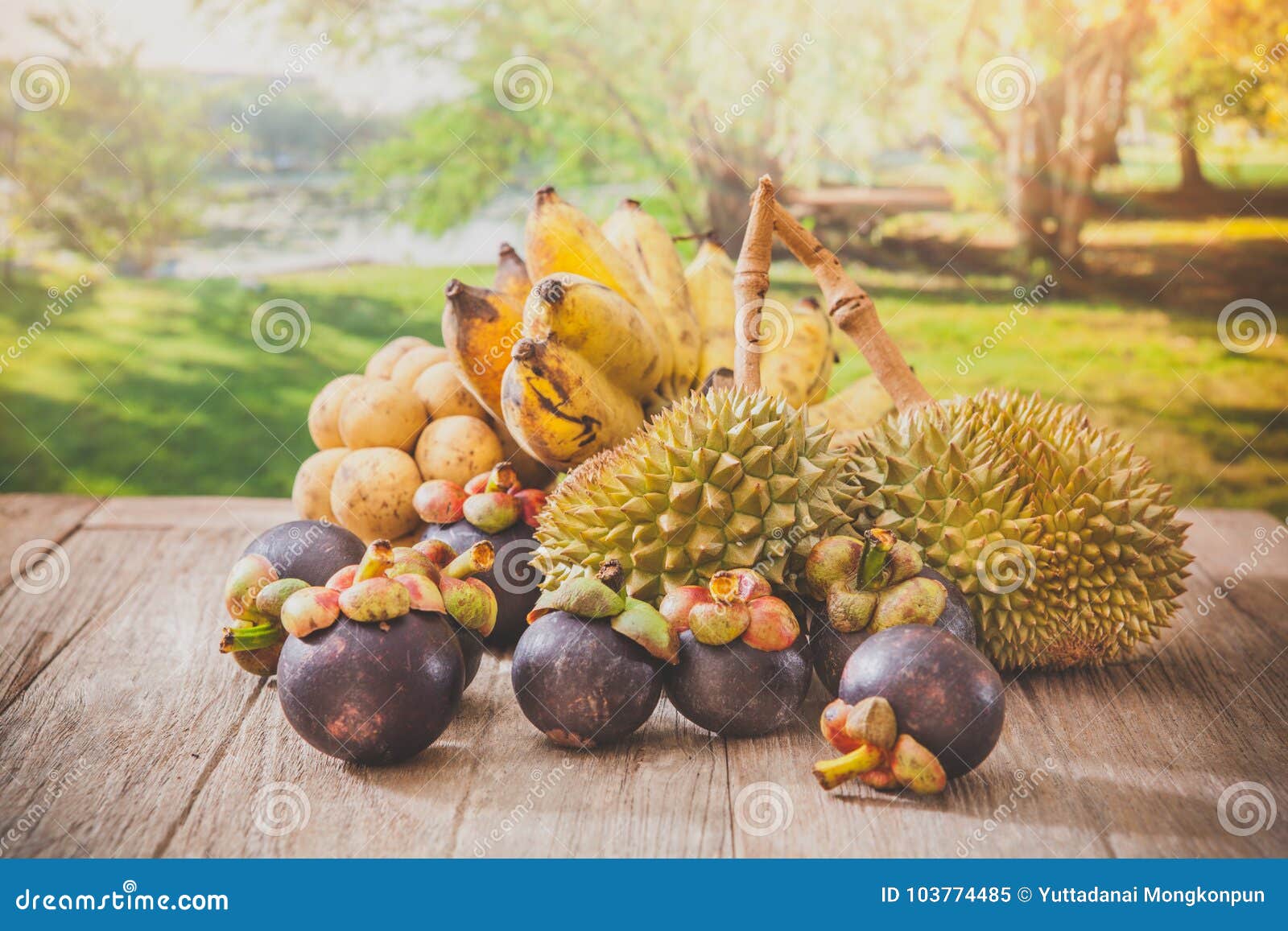 Fresh tropical fruit stock image. Image of tropical - 103774485