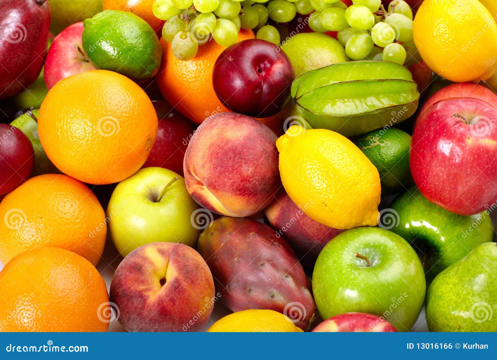 Tropical Fruits - Chiku Tree Stock Photography | CartoonDealer.com ...