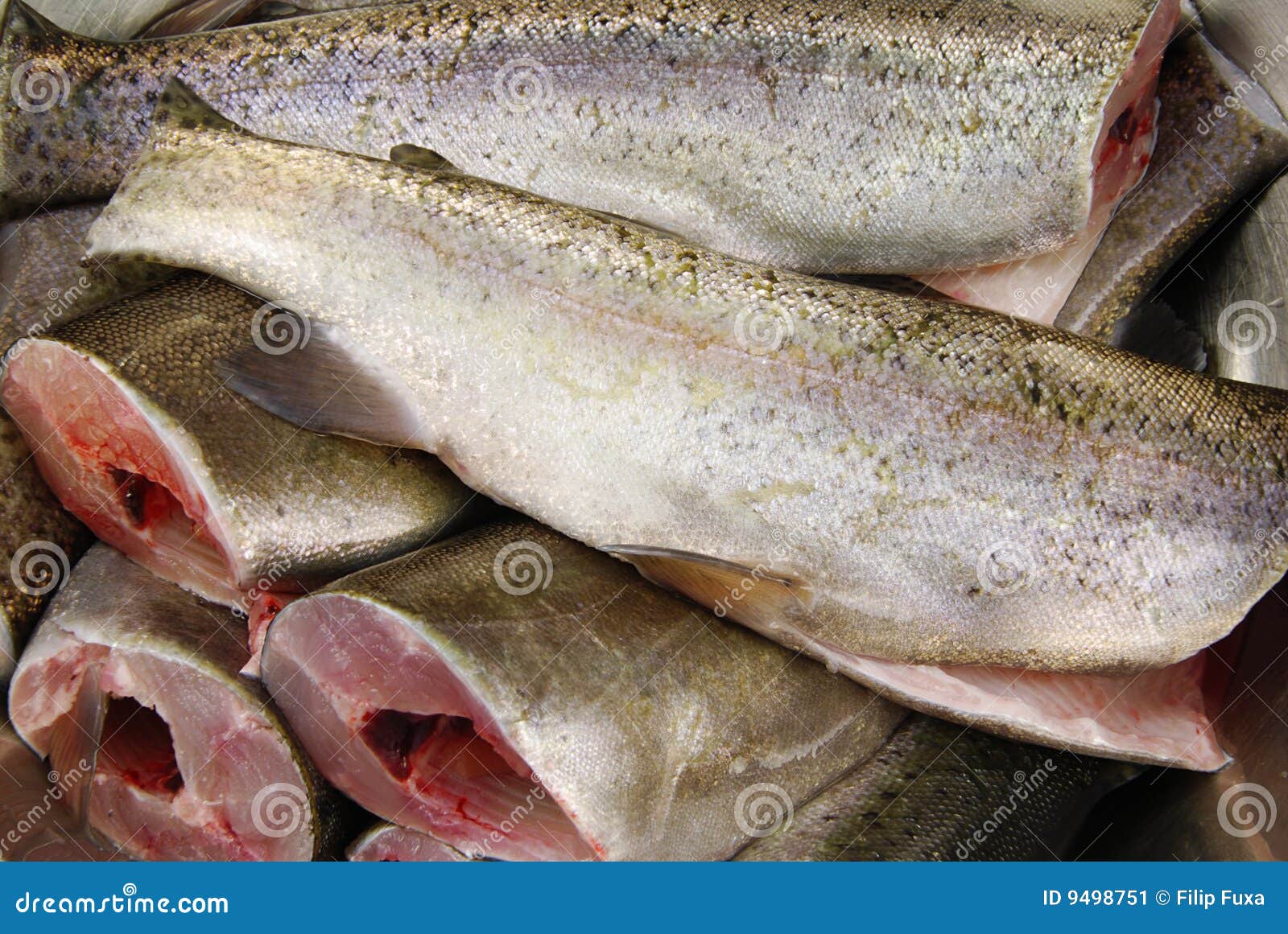 Fresh trout stock image. Image of food, silver, meat, marine - 9498751