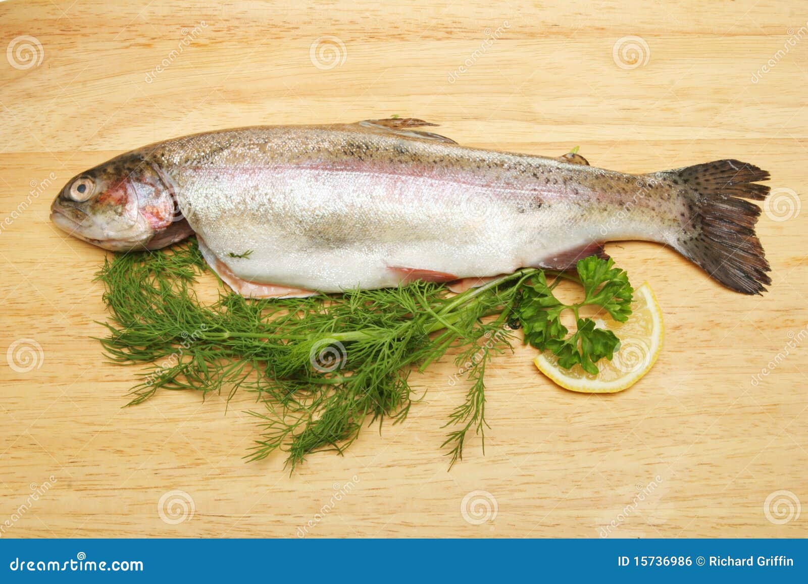 Fresh Trout on a Board with Herbs Stock Photo - Image of curly, herb ...