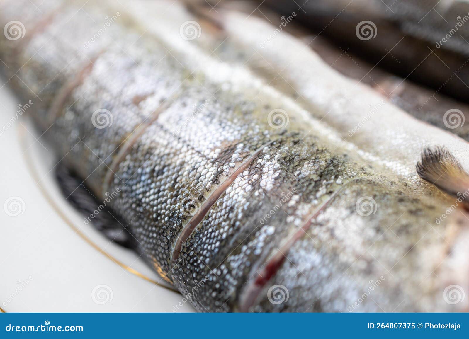 Fresh Trout on the Plate Ready for Preparing Stock Image - Image of ...