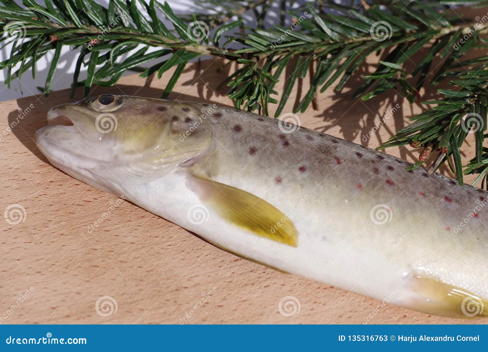 Fresh trout stock image. Image of meal, fishing, cuisine - 135316763