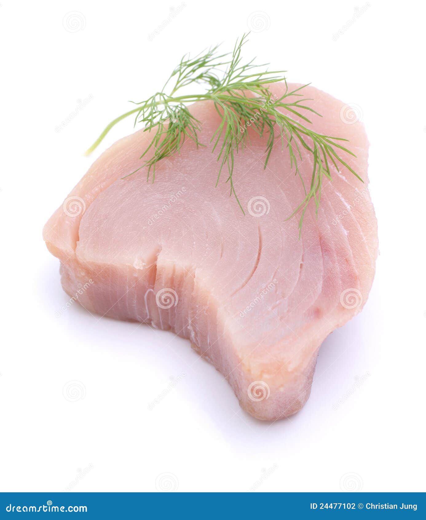 Fresh tuna stock photo. Image of fillet, dill, albacore - 24477102