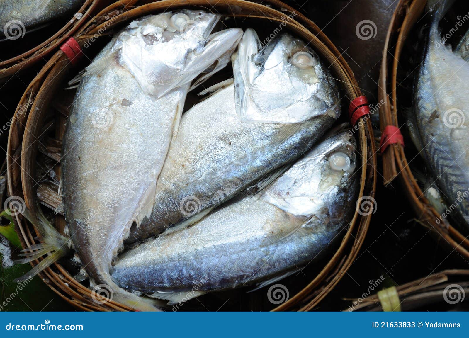 Fresh tuna package stock image. Image of seafood, ocean - 21633833