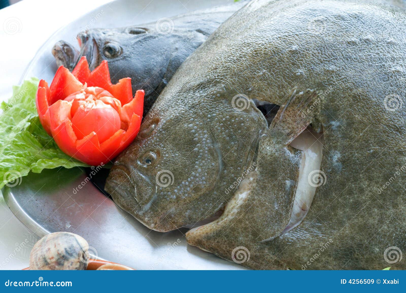 Fresh turbot stock image. Image of seafood, food, dinner - 4256509