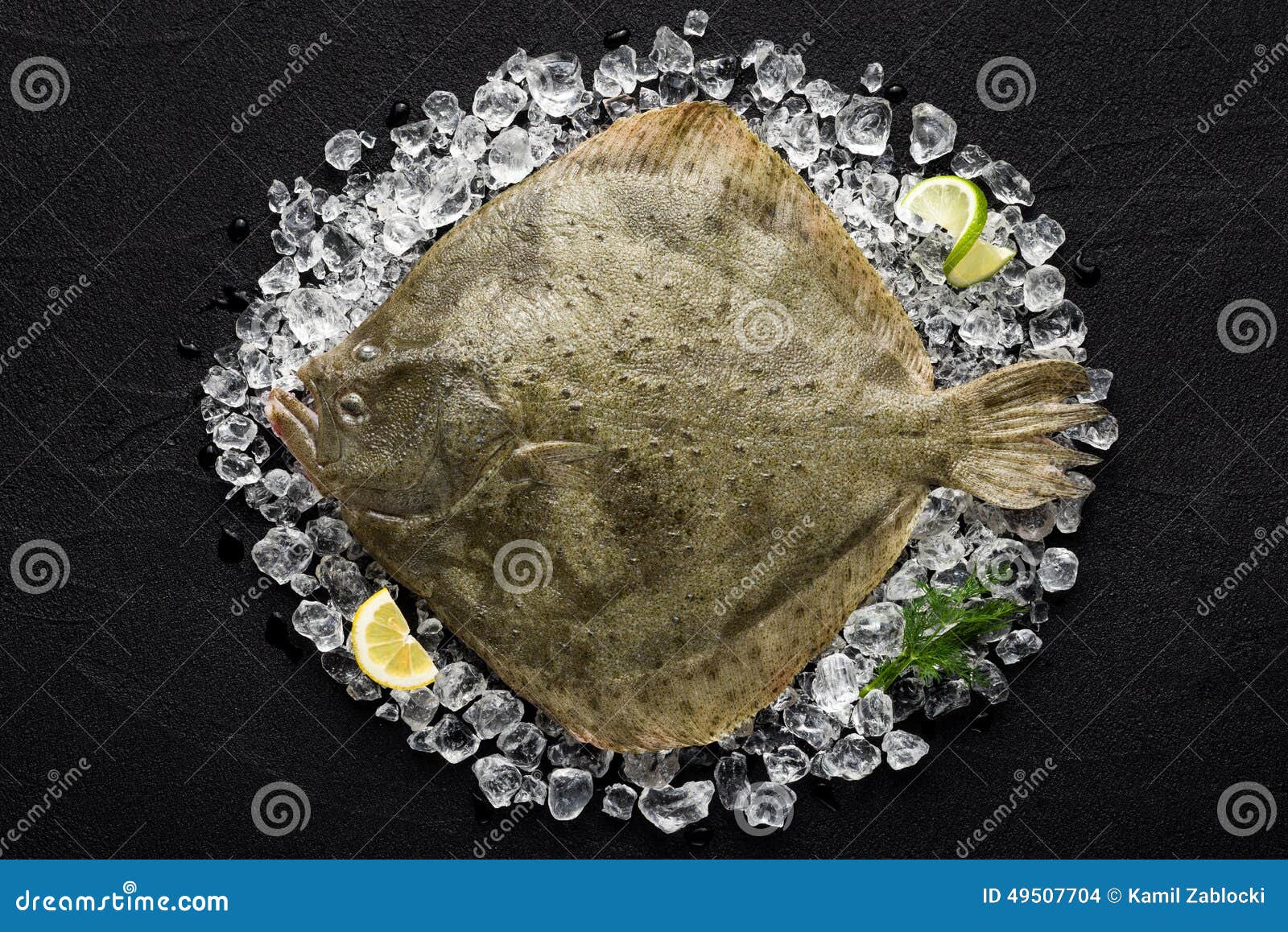 Fresh Turbot Fish on Ice on a Black Stone Table Stock Photo - Image of ...