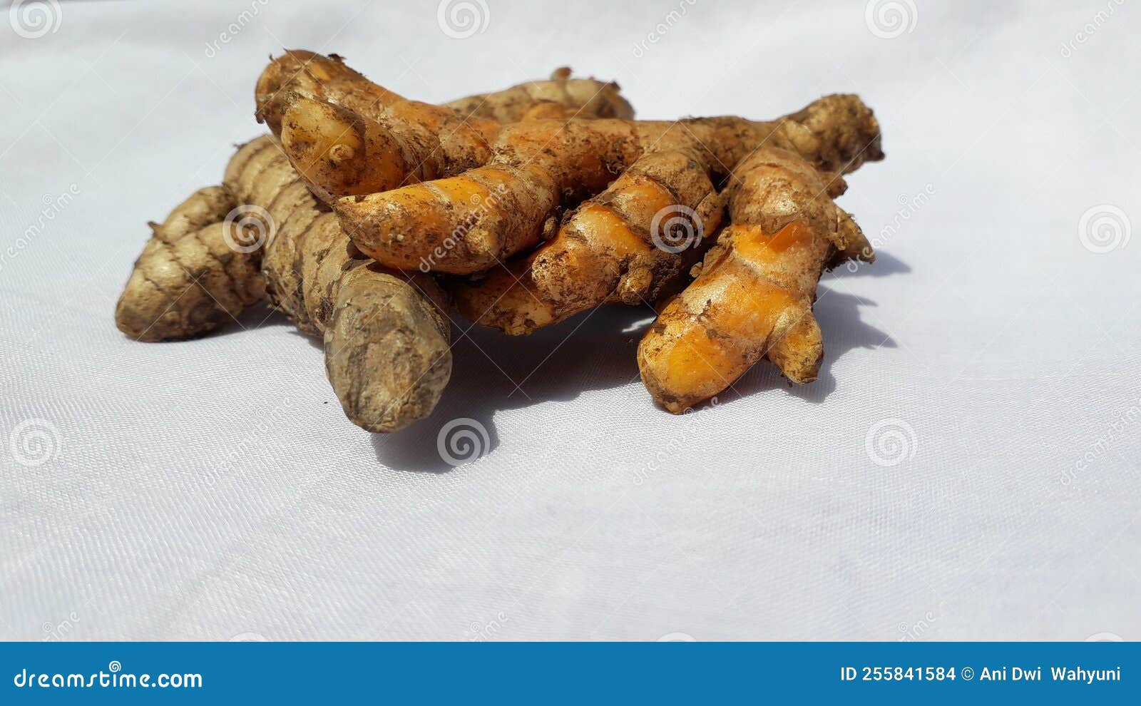 Fresh Turmeric or Kunyit on White Background Stock Photo - Image of ...