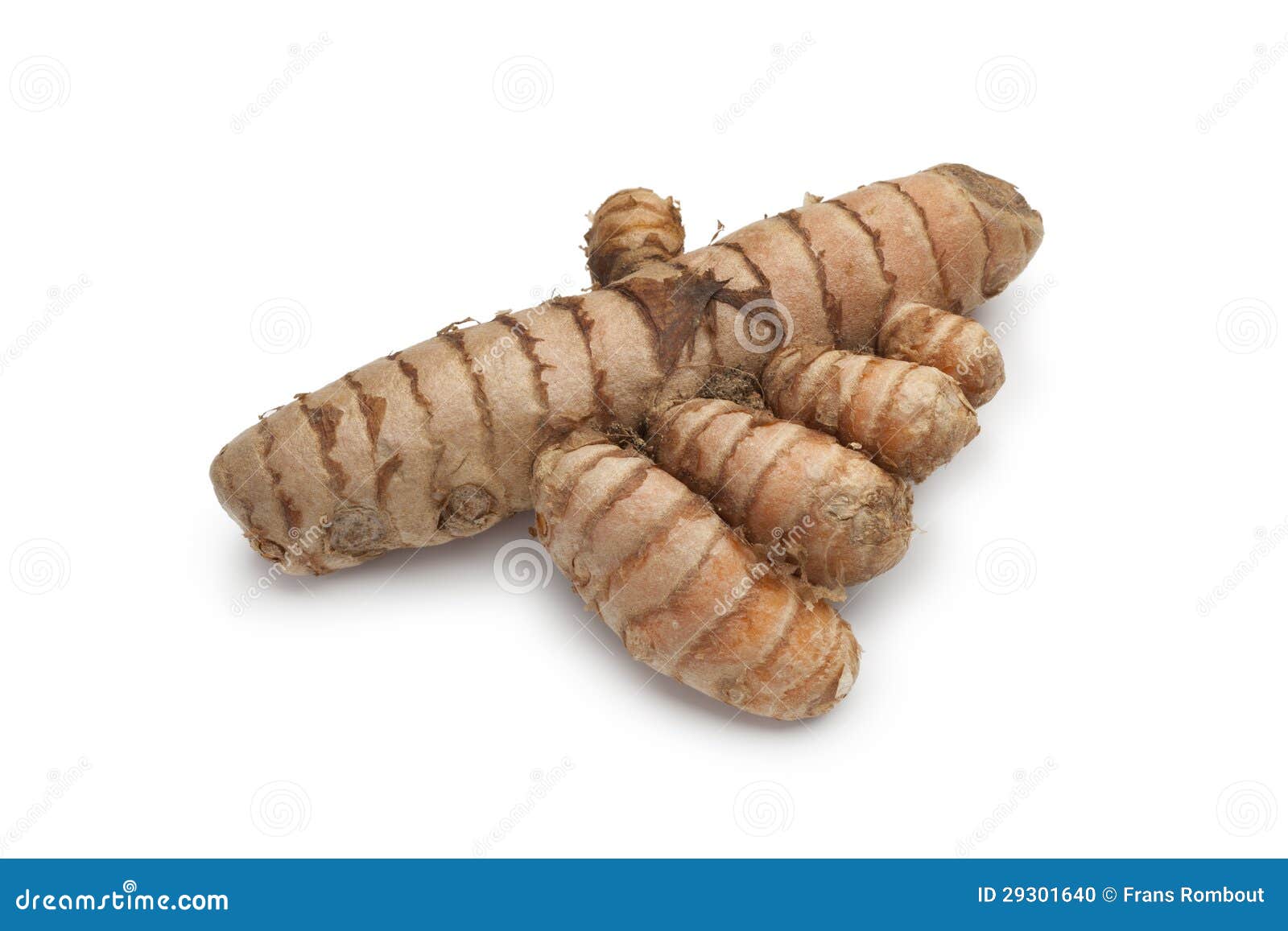 Fresh Turmeric root stock photo. Image of horizontal - 29301640