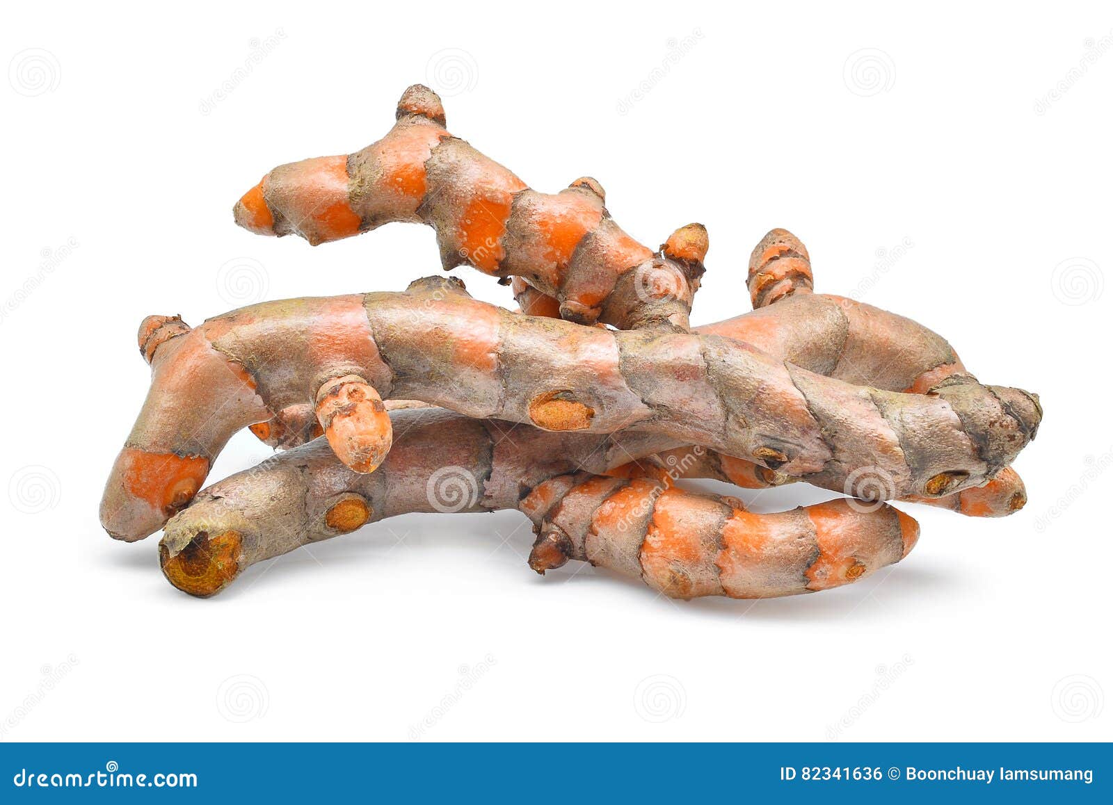 Fresh Turmeric Roots Isolated on White Background Stock Photo - Image ...