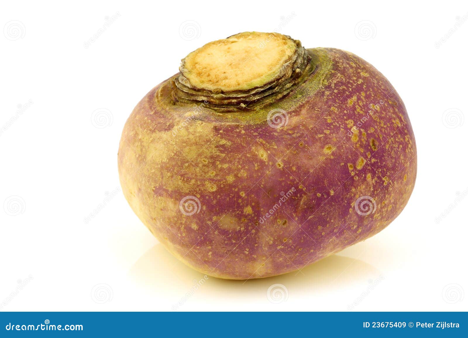 Fresh Turnip Royalty Free Stock Images - Image: 23675409