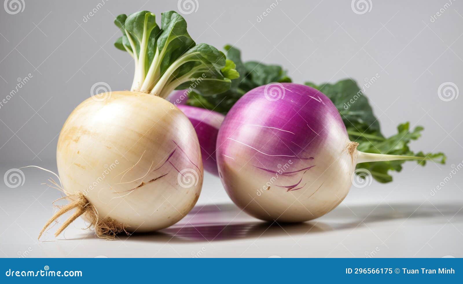 Fresh Turnip . stock image. Image of violet, herb, plant - 296566175