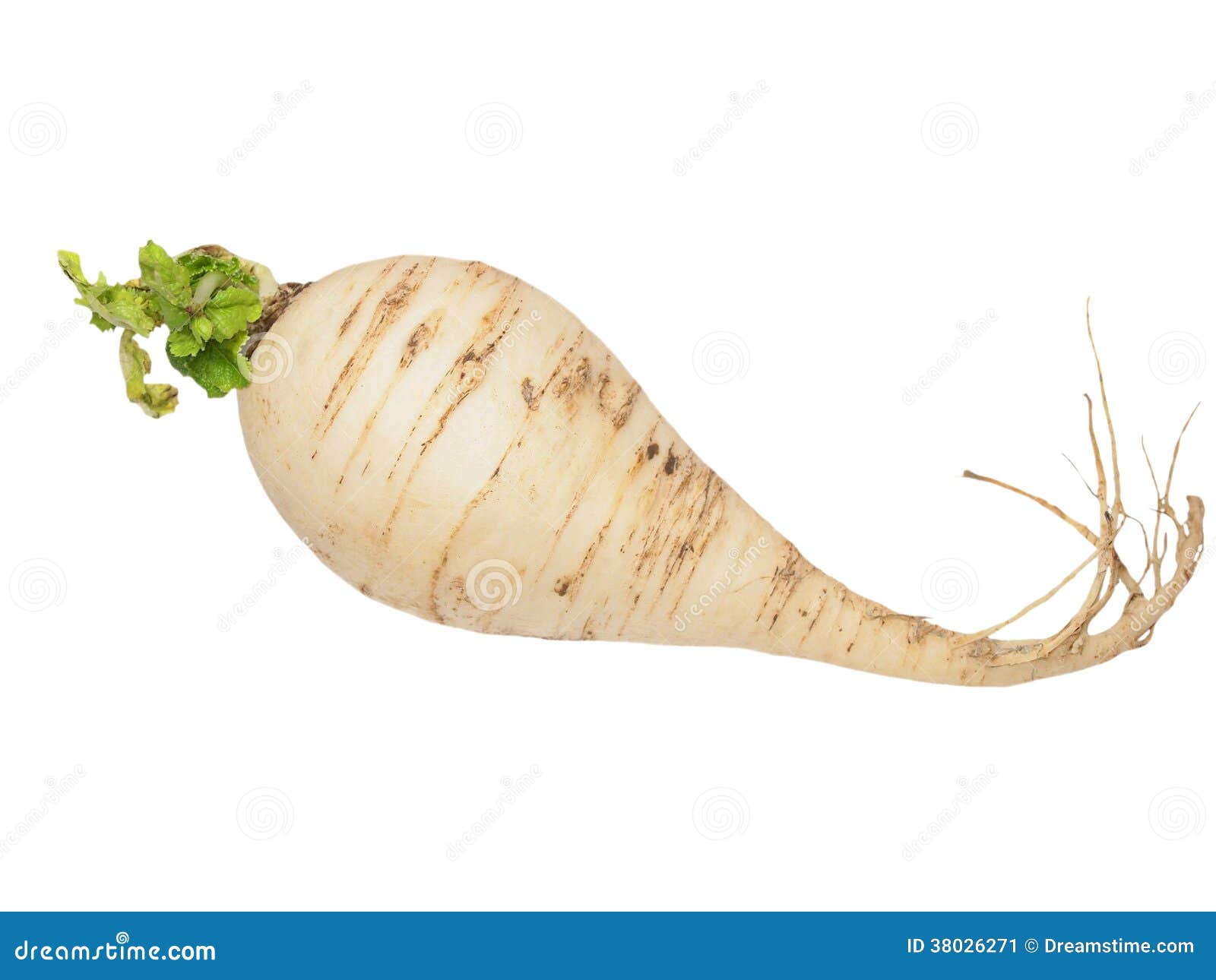 Fresh Turnip with Leaves Isolated Stock Image - Image of health ...