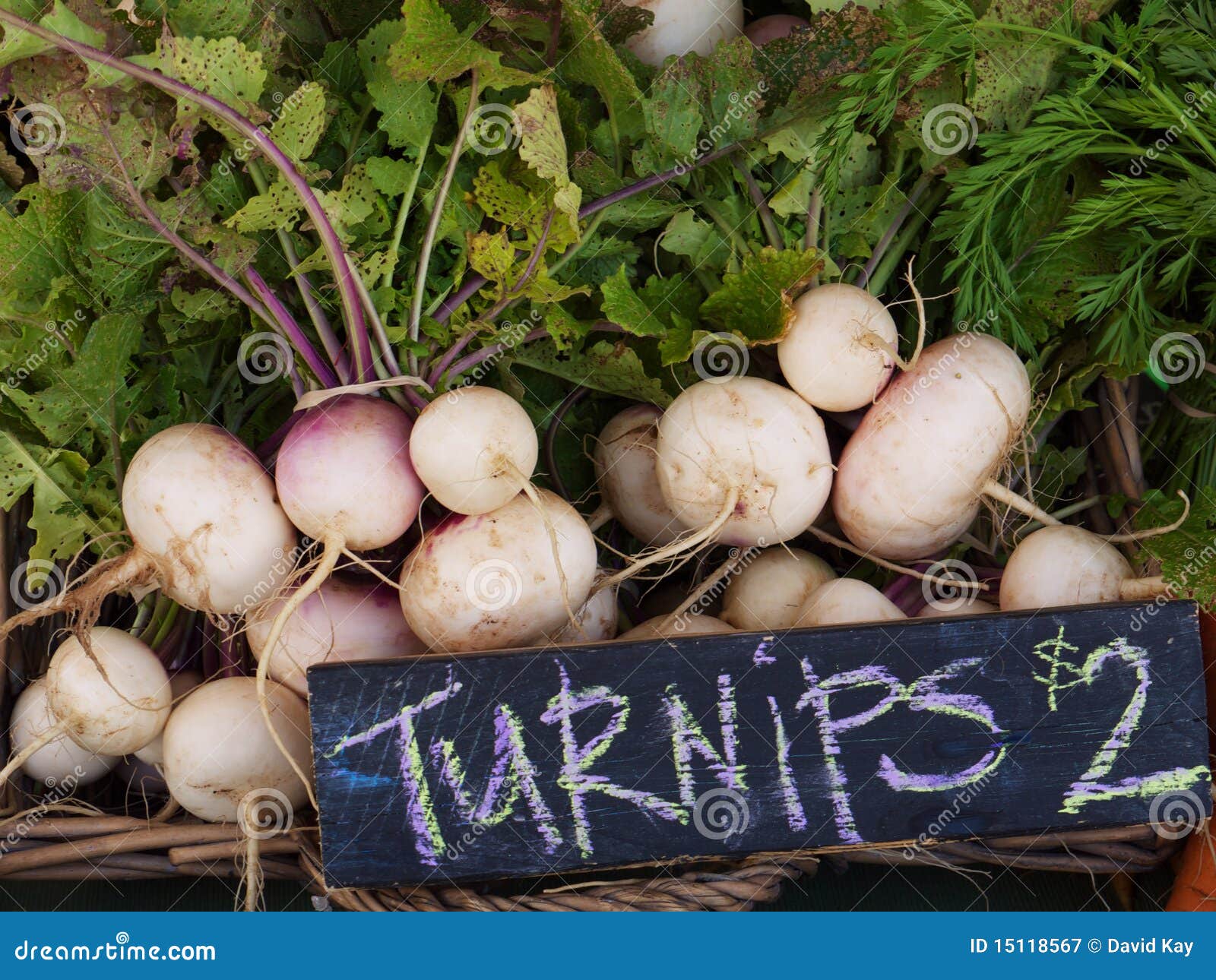 Fresh Turnips stock image. Image of green, fresh, vegetarian - 15118567