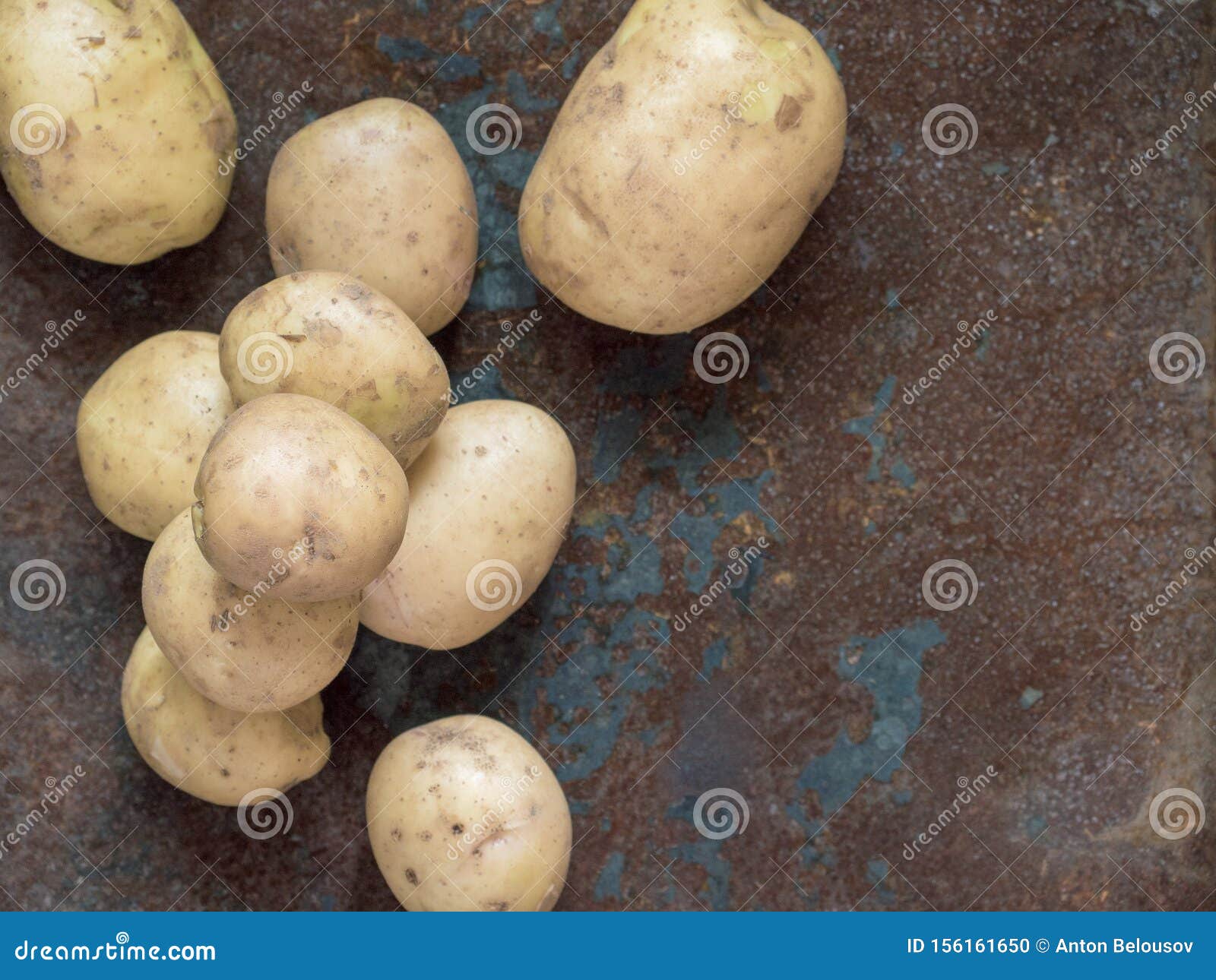 Fresh, Ugly Yellow Potatoes on a Rusty Iron Background. Close Up Stock ...