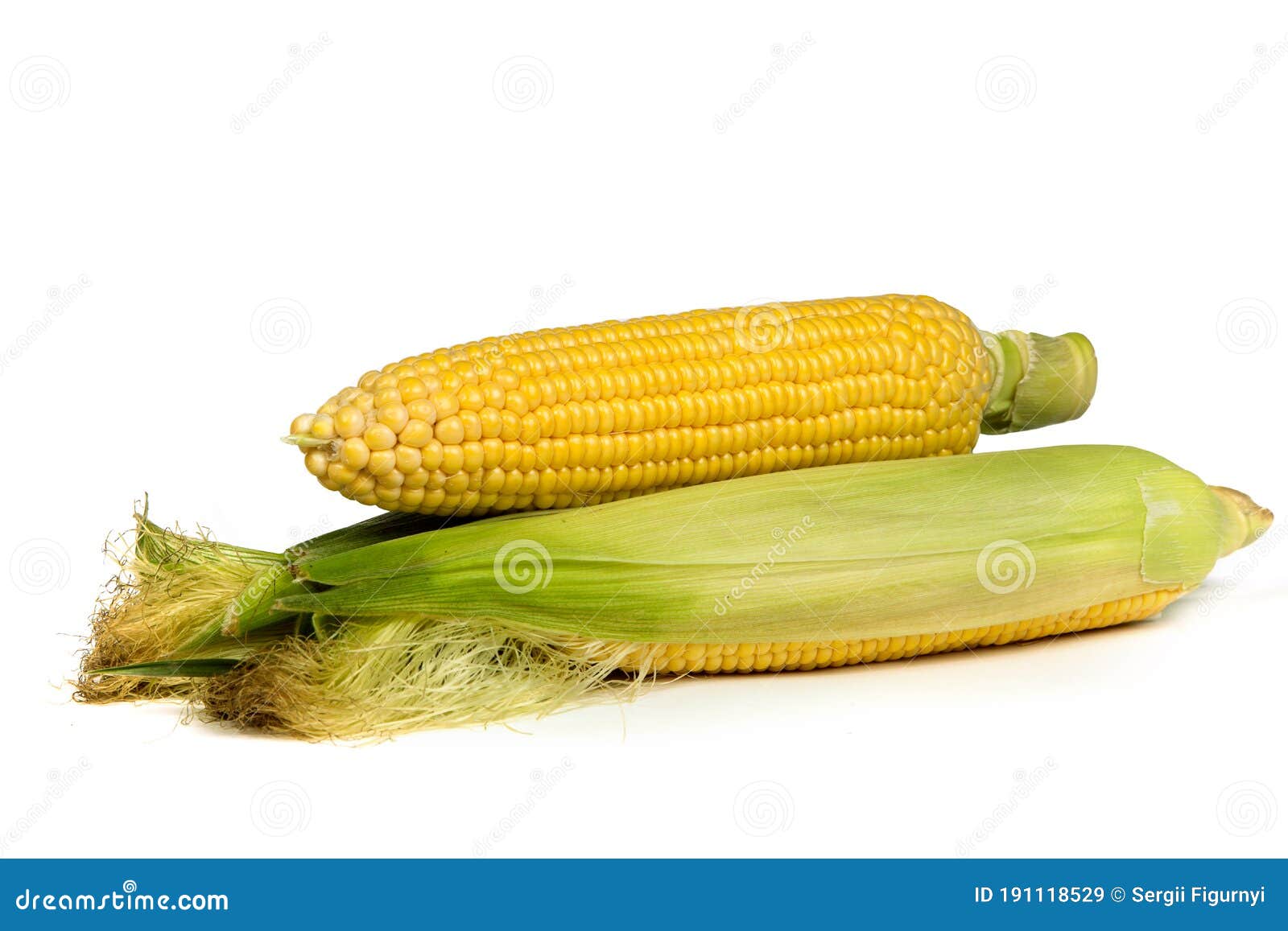 Fresh Uncooked Corn on the Cob Stock Image - Image of horizontal ...