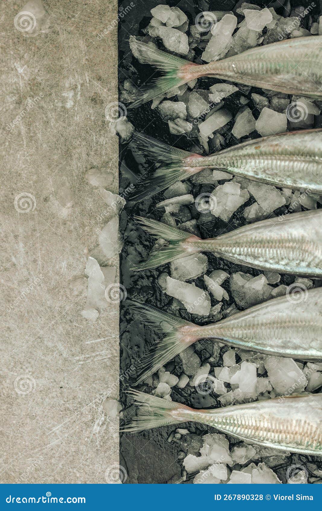 Fresh Uncooked Fish Tail on Top of Cutting Board with Ice Cubes Stock ...