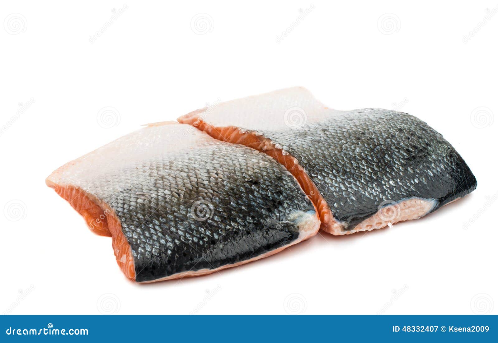 Fresh Uncooked Red Fish Fillet Slices. Stock Image - Image of uncooked ...