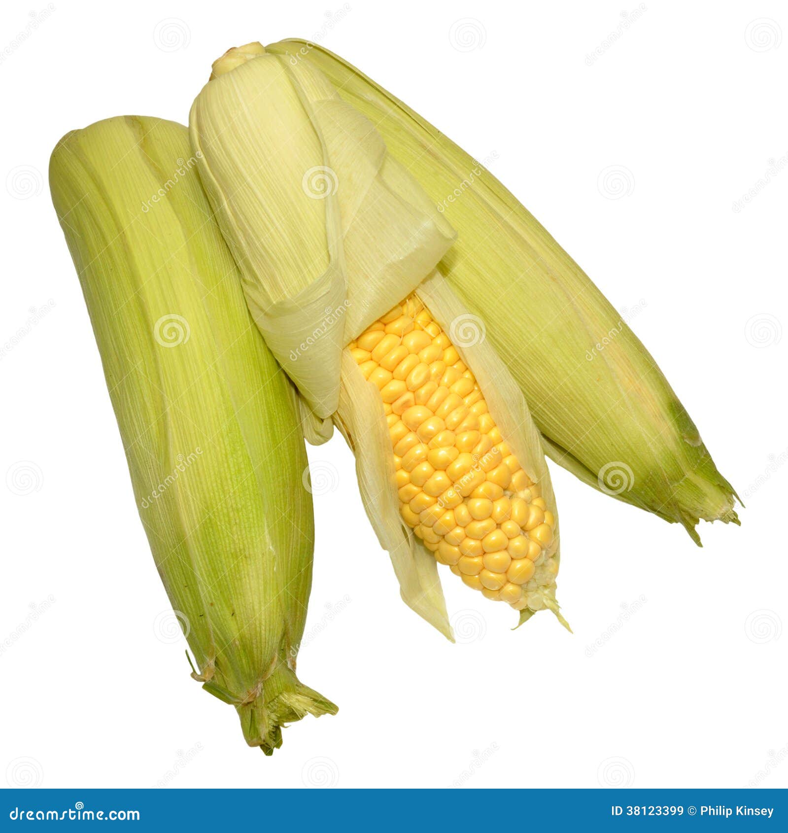 Fresh Uncooked Sweet Corn Cobs Stock Image - Image of diet, produce ...