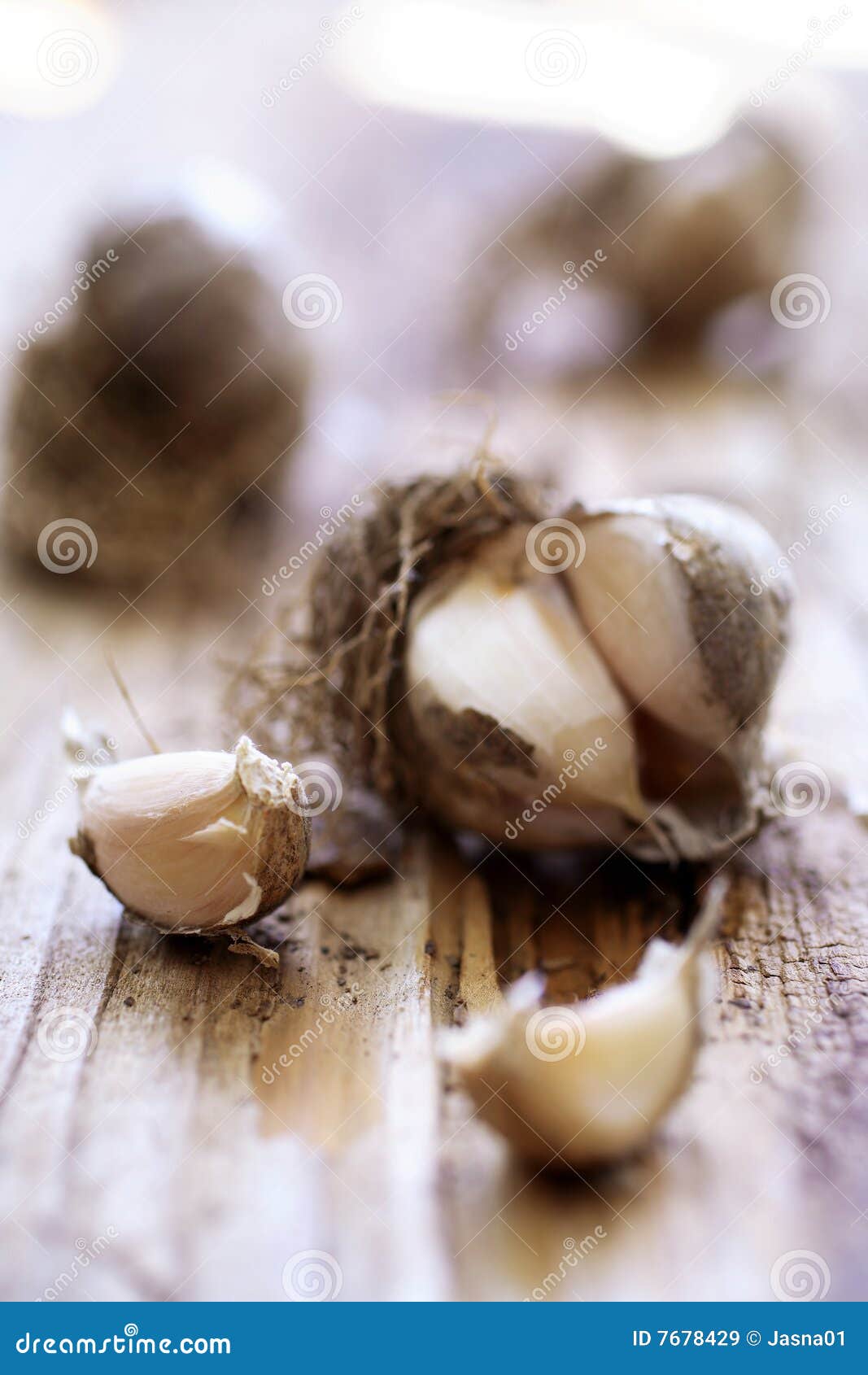 Fresh unpeeled garlic stock image. Image of garden, veggie - 7678429