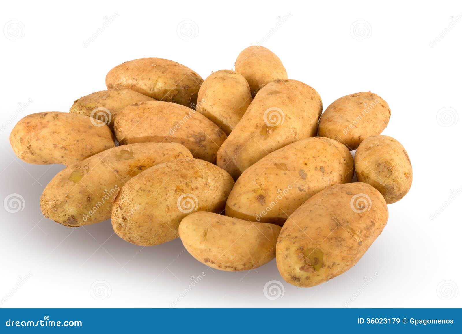 Fresh unwashed potatoes stock image. Image of pile, food - 36023179
