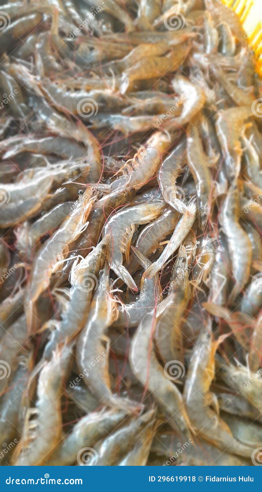 Fresh Vanamei Shrimp Have Extraordinary Benefits Stock Photo - Image of ...