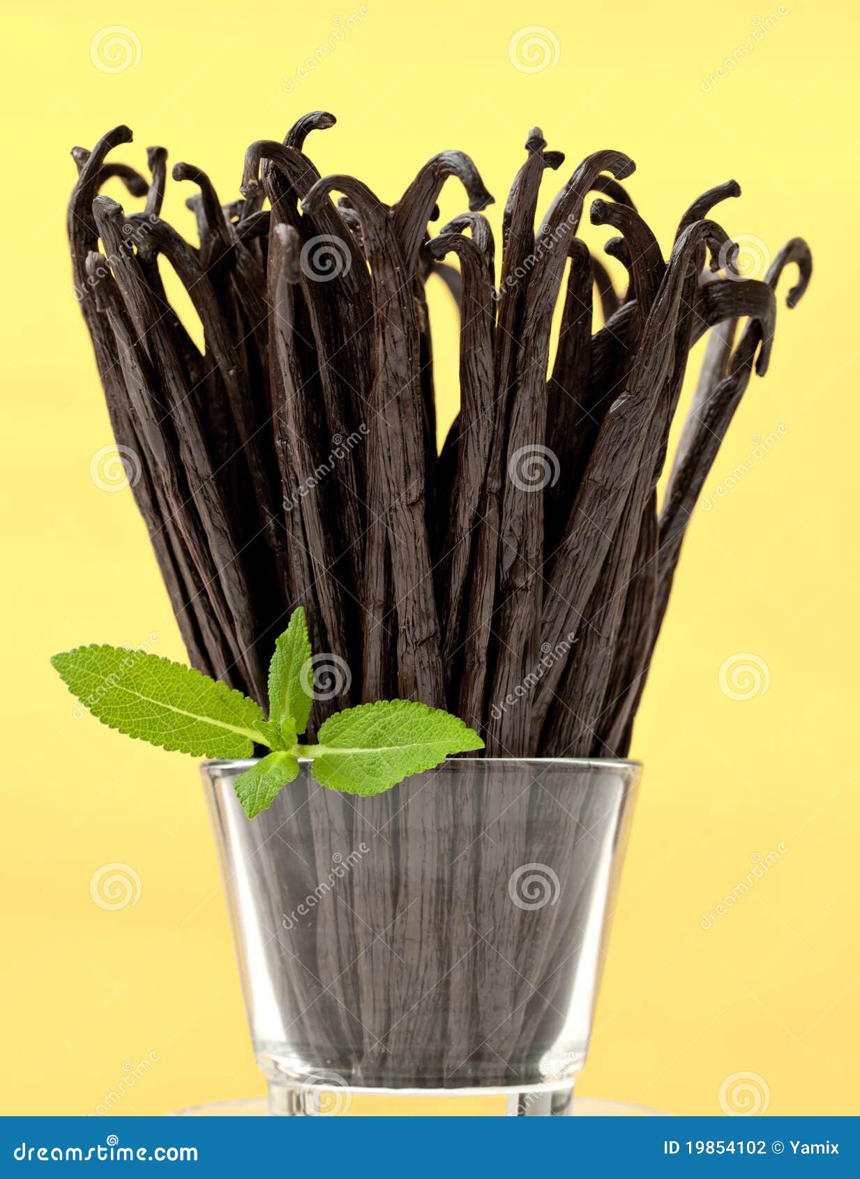 Fresh vanilla bunch stock photo. Image of brown, bean - 19854102