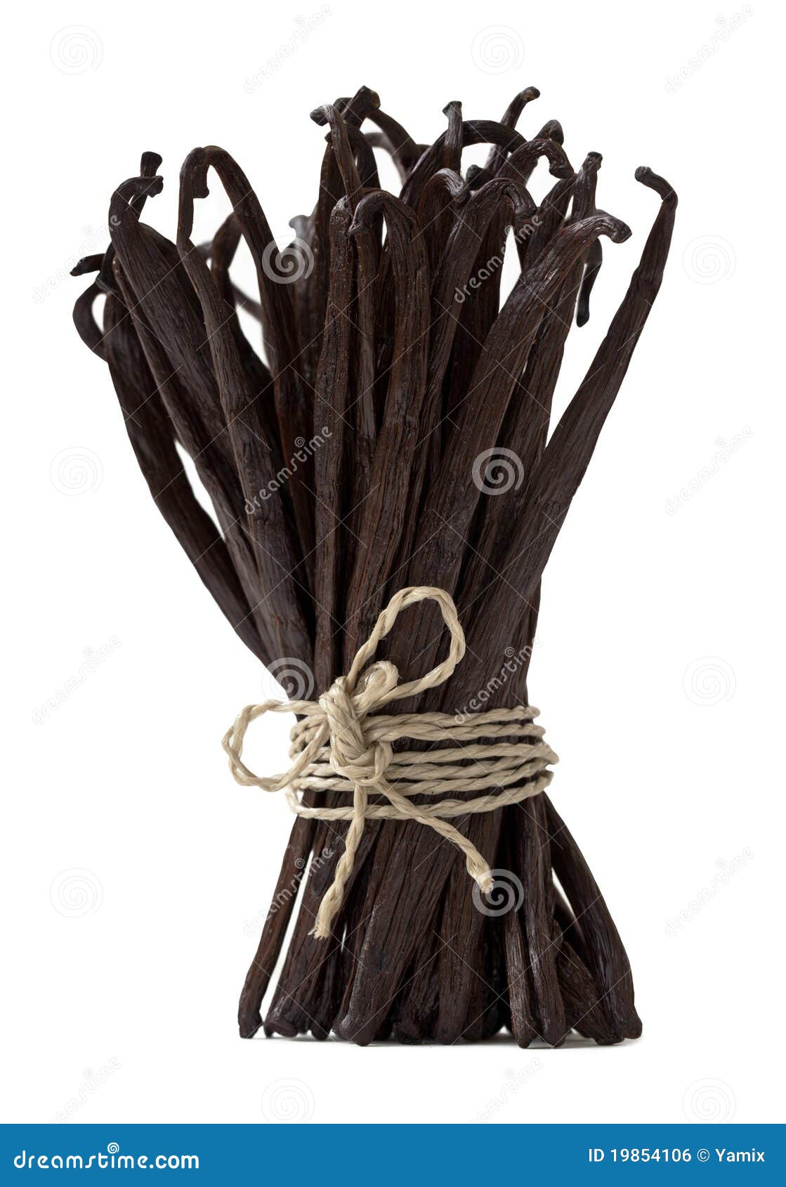 Fresh vanilla bunch stock photo. Image of vanilla, bundle - 19854106