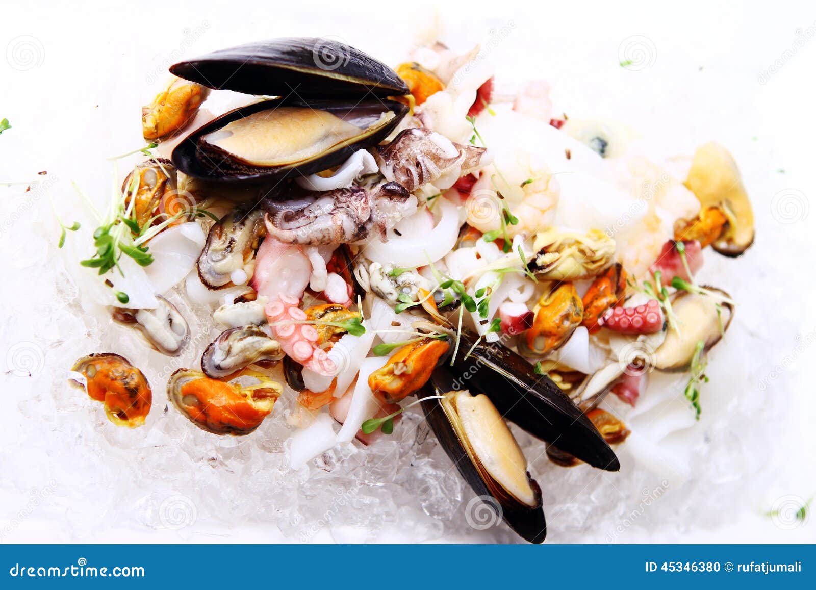Fresh Various Seafood Served on Ice Stock Photo - Image of cold, menu ...