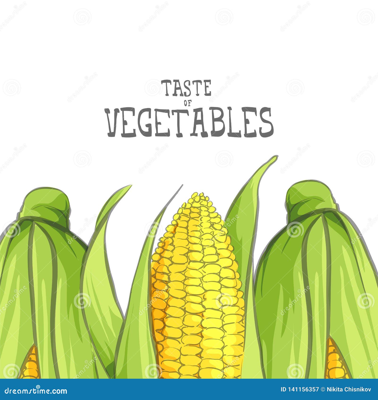 Fresh vector maize stock vector. Illustration of drawing - 141156357