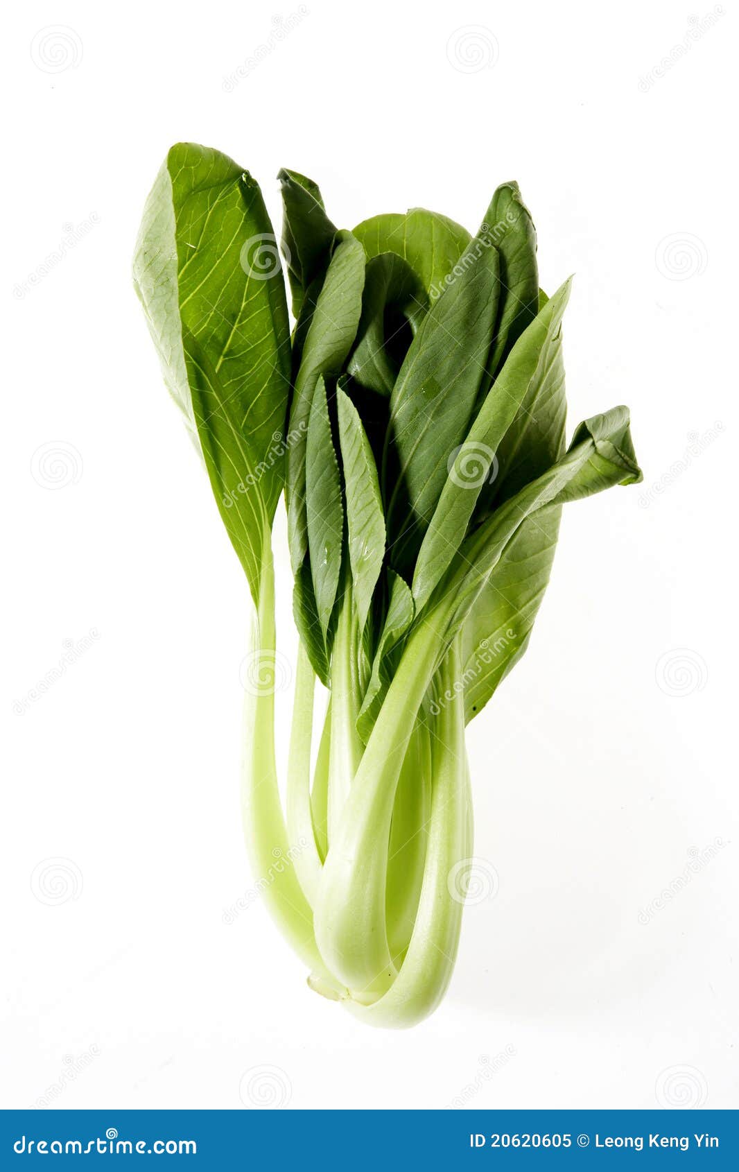 Fresh vege stock image. Image of health, diet, healthy - 20620605