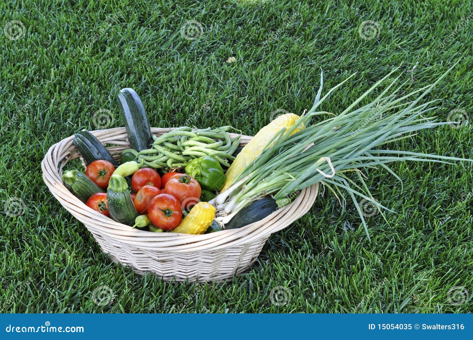 Fresh vegetable basket stock image. Image of green, vegetables - 15054035