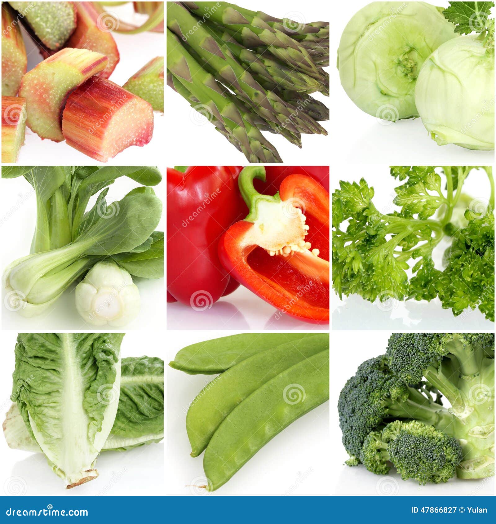 Fresh vegetable collage stock image. Image of house, painted - 47866827