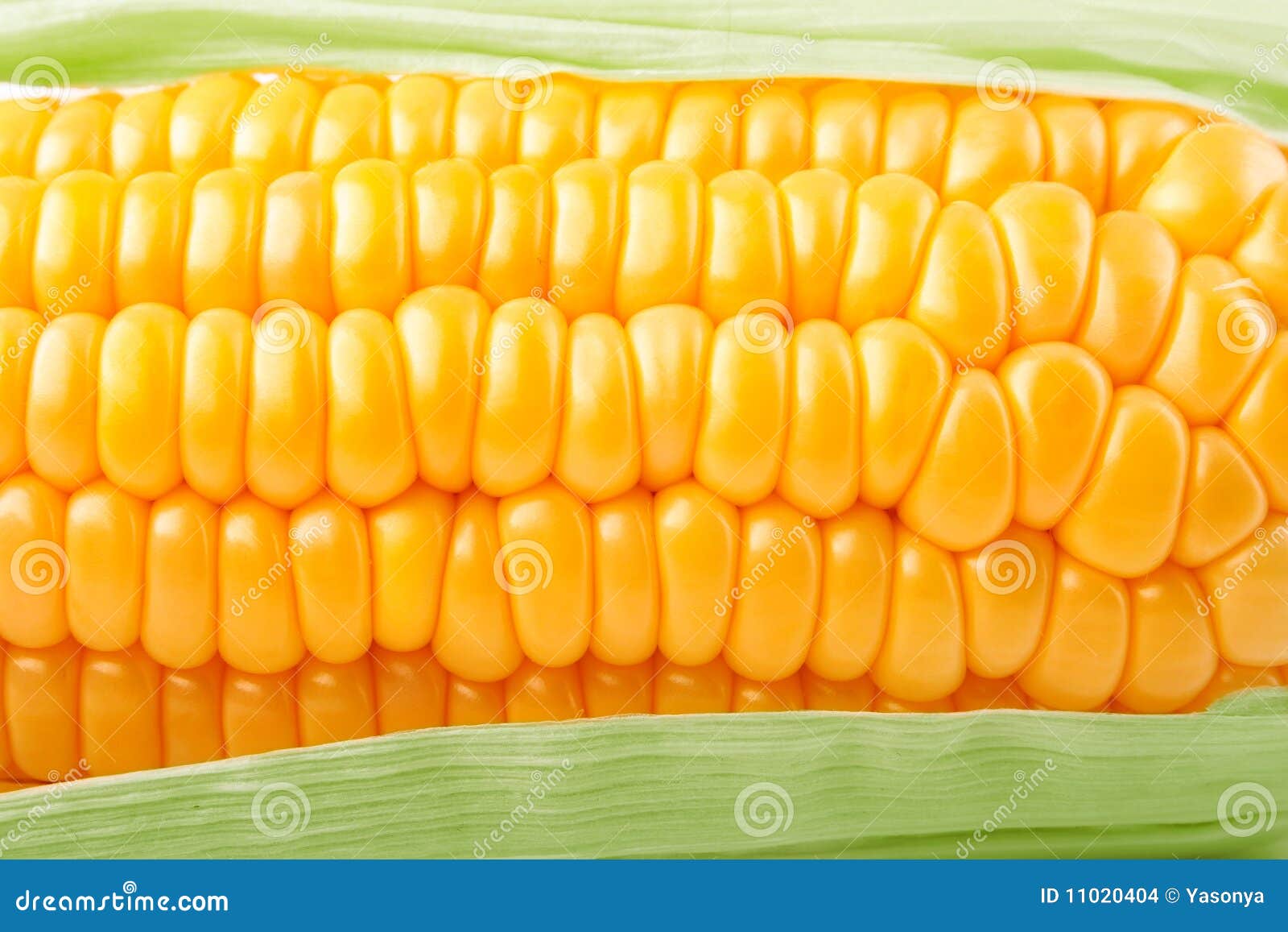 Fresh Vegetable Corn Texture Stock Photo - Image of vegetable, vitamins ...